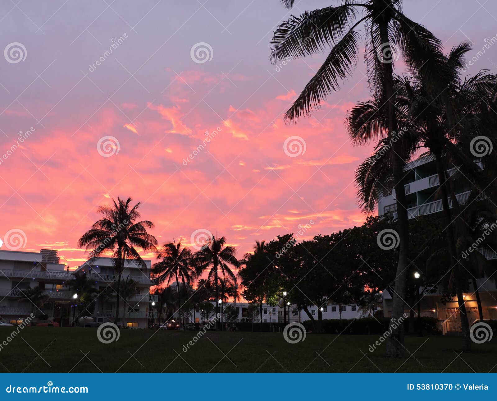 Pink stock photo. Image of miami, beach, pink, sunset - 53810370