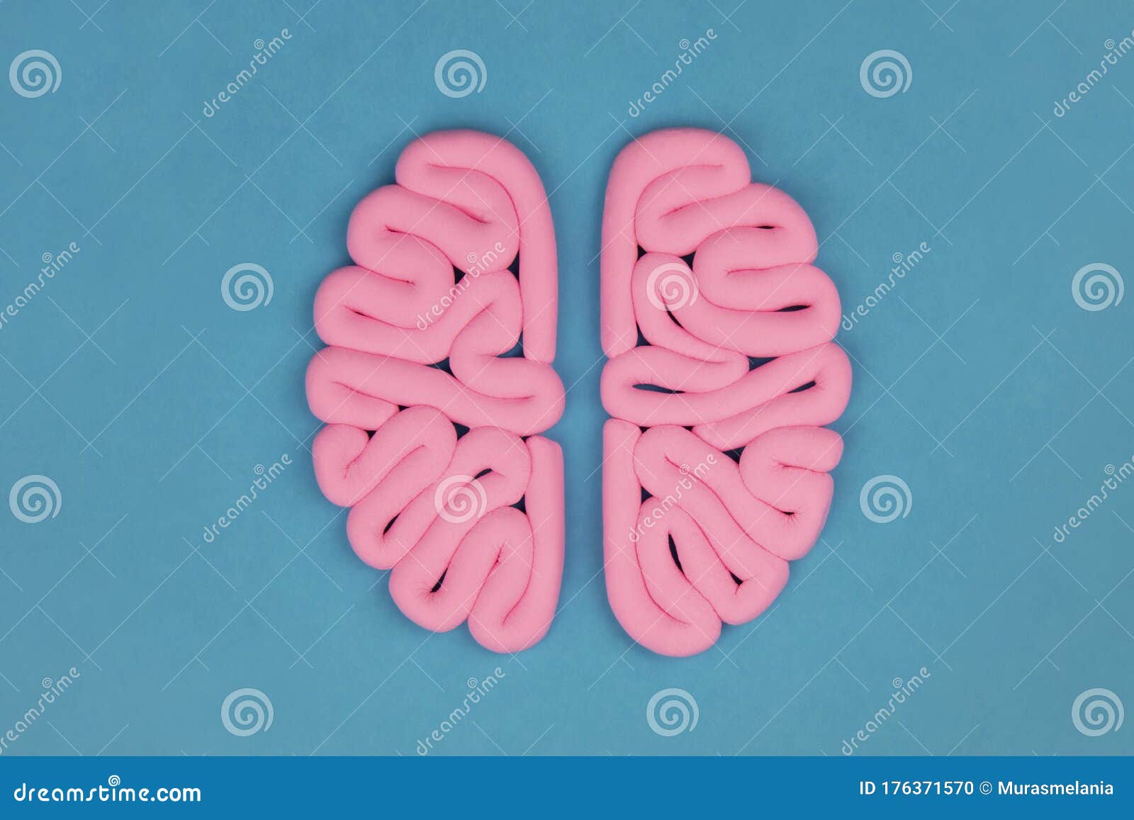 Pink Model of Human Brain from Above on Blue Background, Flat Lay ...