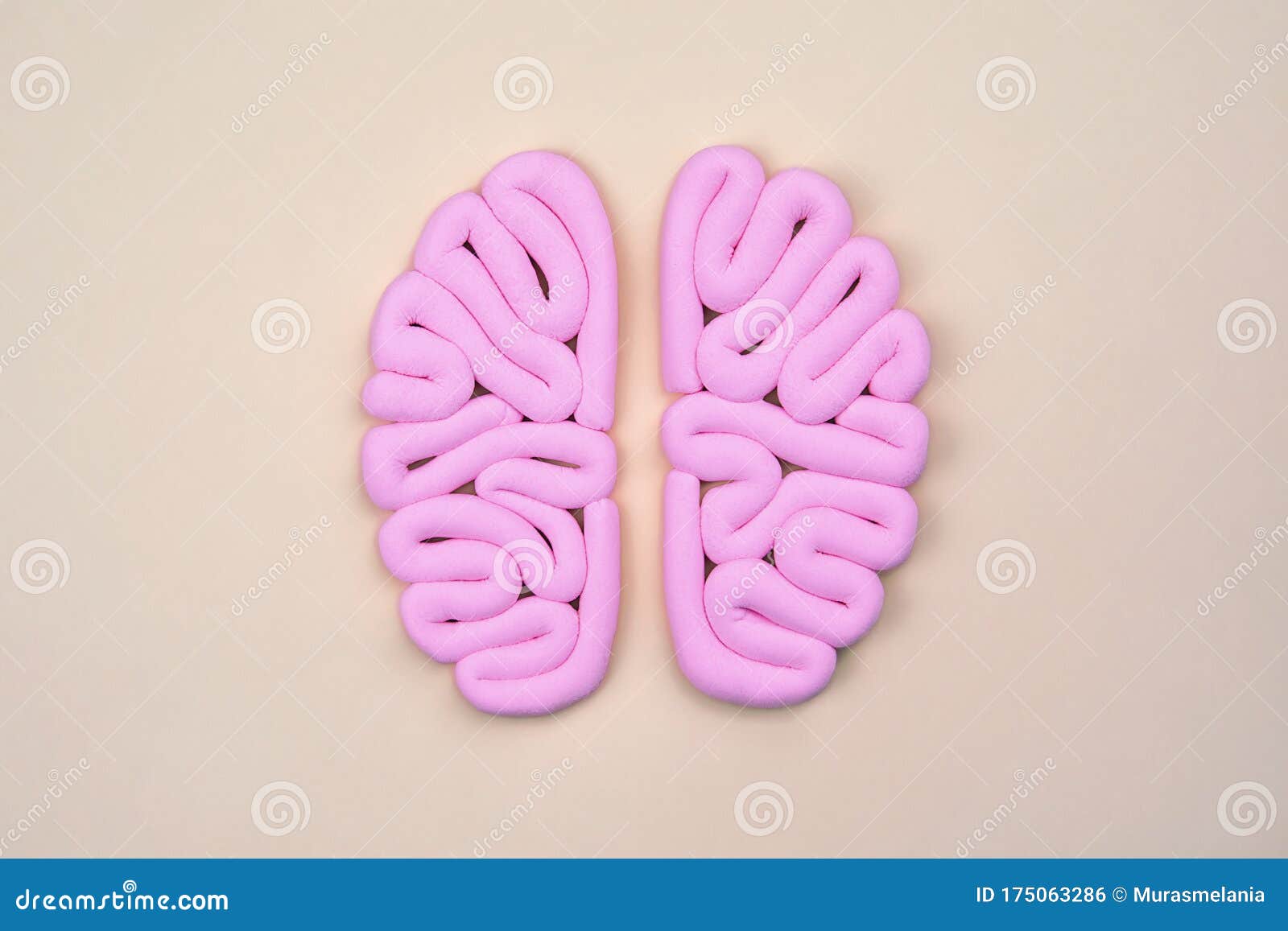 Pink Model Of Human Brain From Above On Bright Background Flat Lay ...
