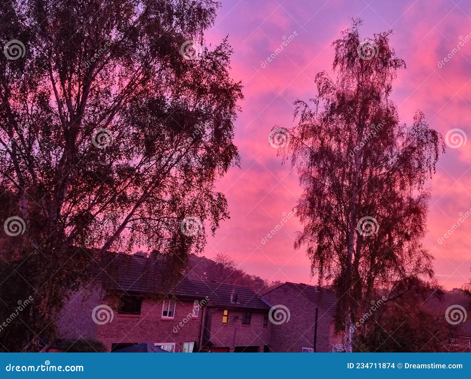 Pink morning sunrise stock photo. Image of autumn, morning - 234711874