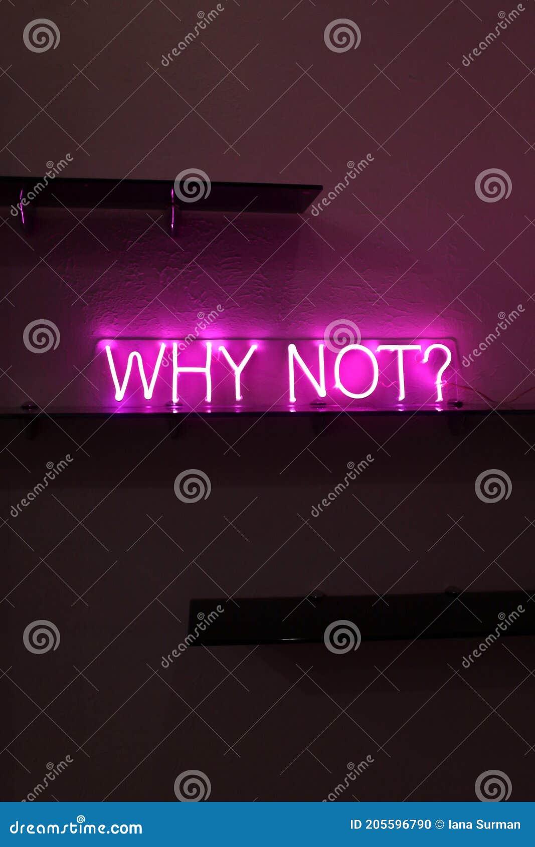 Pink Neon Sign Why Not?. Trendy Style Stock Photo - Image of homedecor ...
