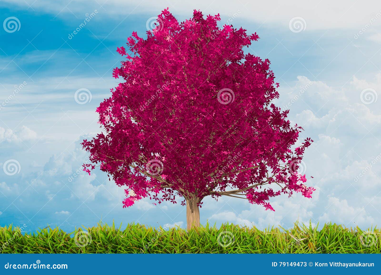 Pink Oak Tree with Grass and Blue Sky Stock Illustration - Illustration ...