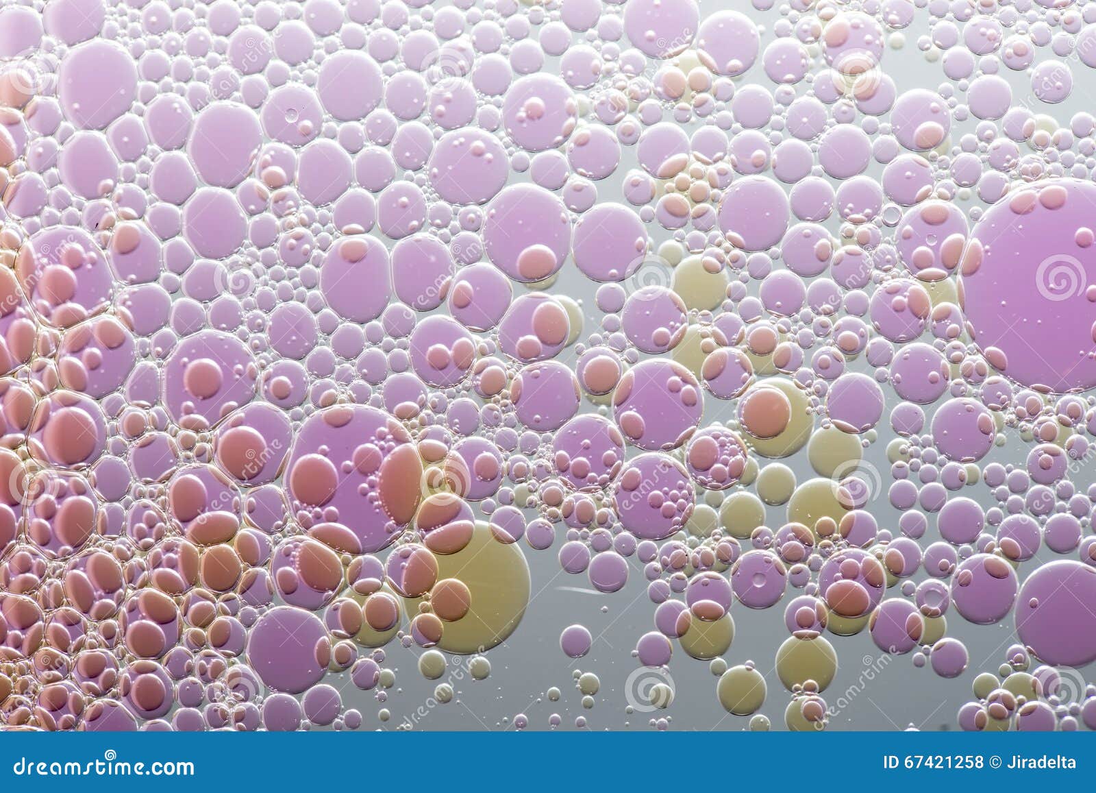 Pink Oil Bubbles stock photo. Image of soap, abstract - 67421258