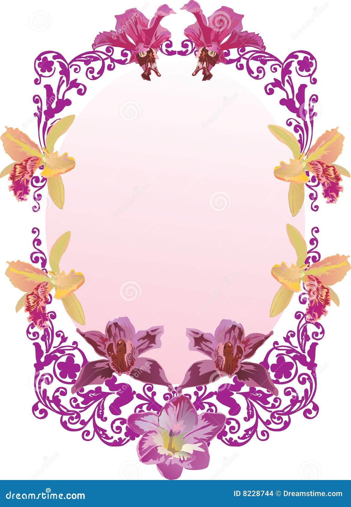 Pink orchid frame on white stock illustration. Illustration of ornament ...