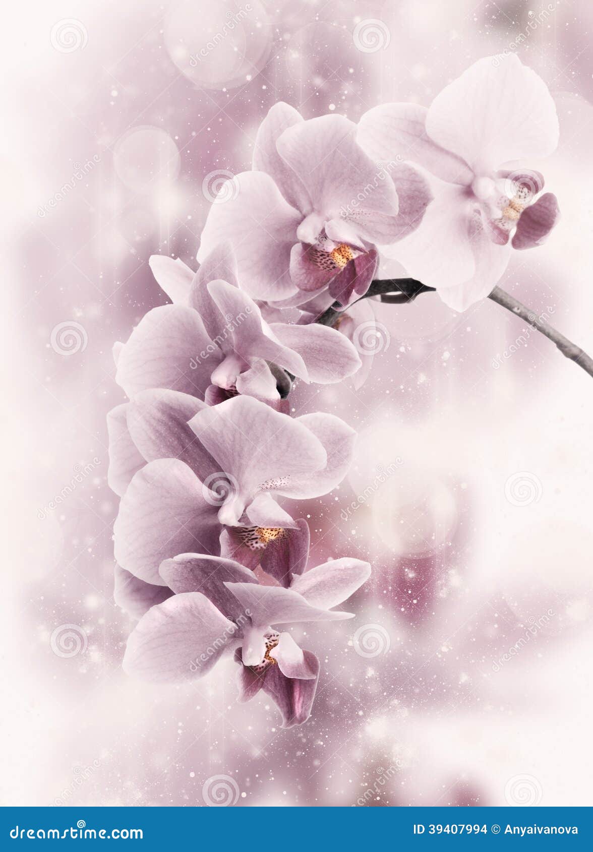 Pink Orchids on Light Abstract Background. Toned Image Stock Photo ...
