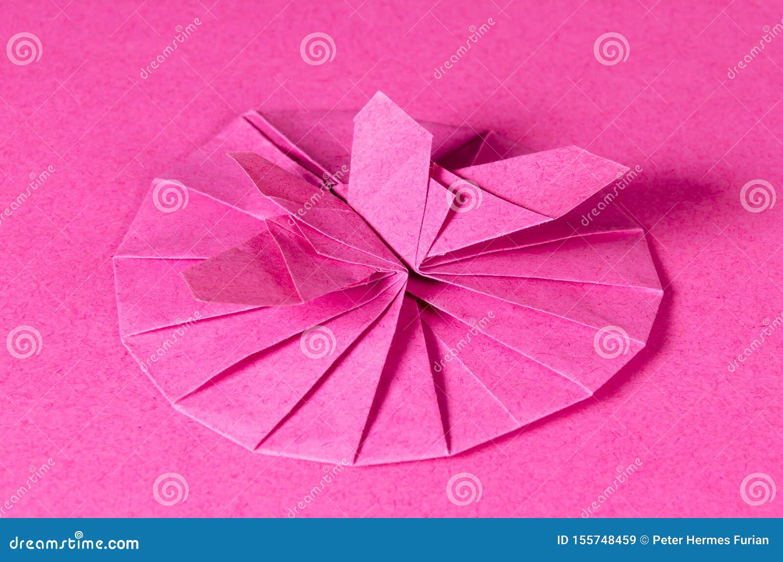 Pink Origami Butterfly and Blossom Over Pink Stock Image - Image of ...