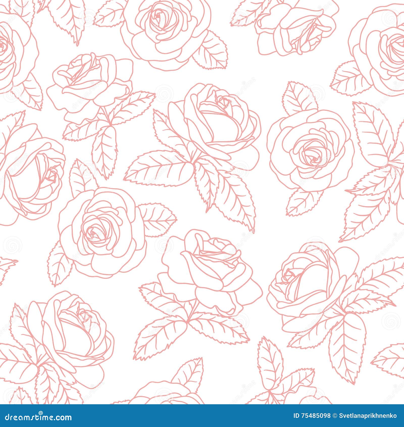 Pink Outline Rosehip On White Background. Hybrid Tea Rose Vector ...