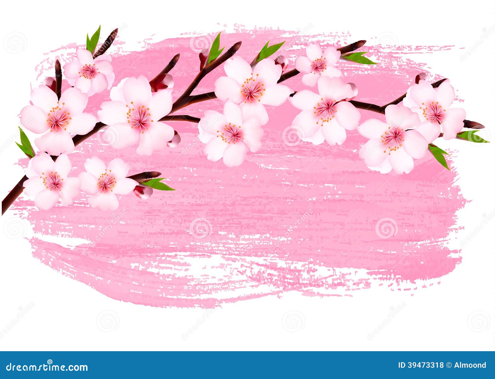 Pink Paint Sakura Branch Banner. Stock Vector - Illustration of floral ...