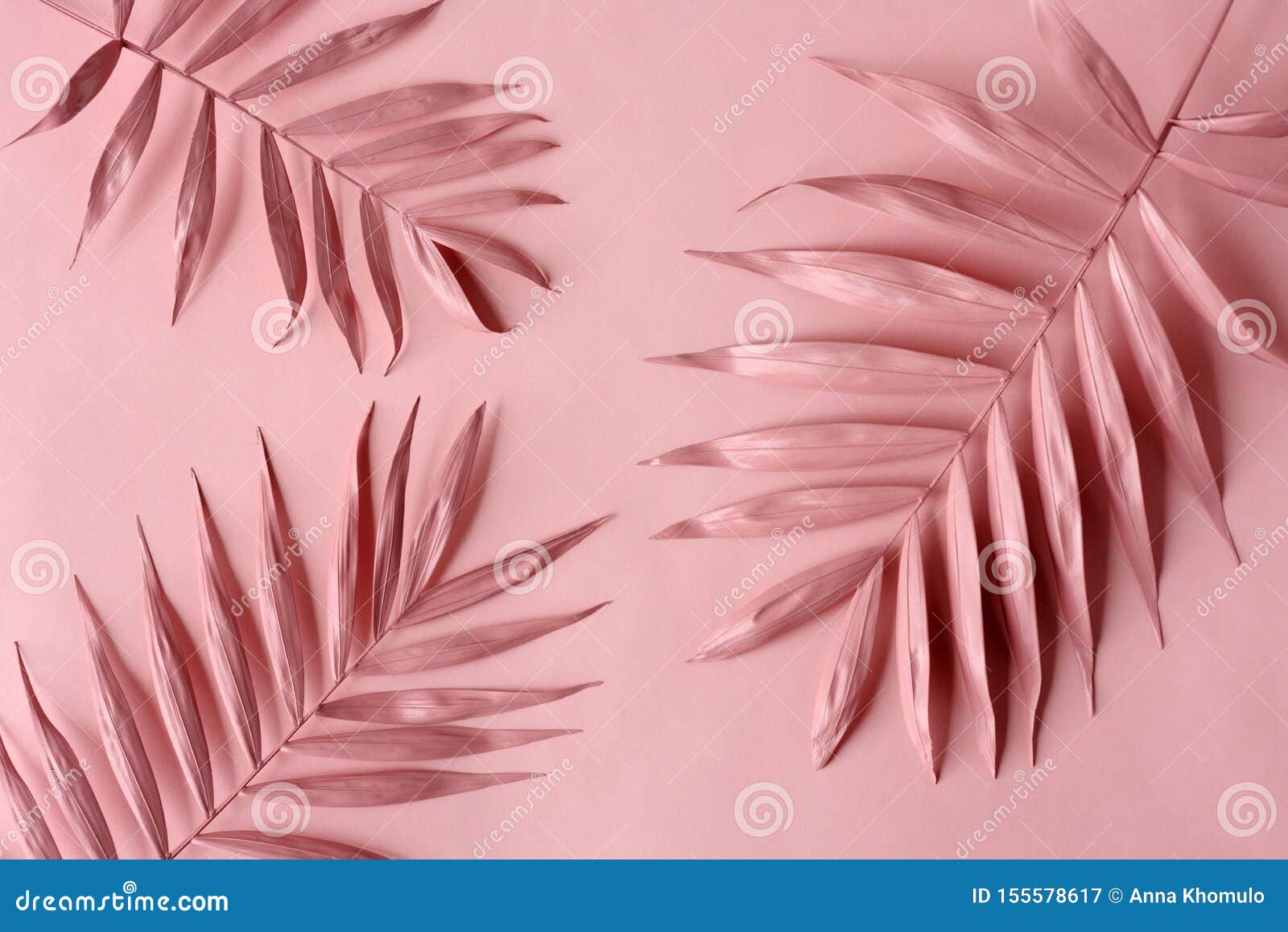 64,033 Pink Palm Photos - Free & Royalty-Free Stock Photos from Dreamstime