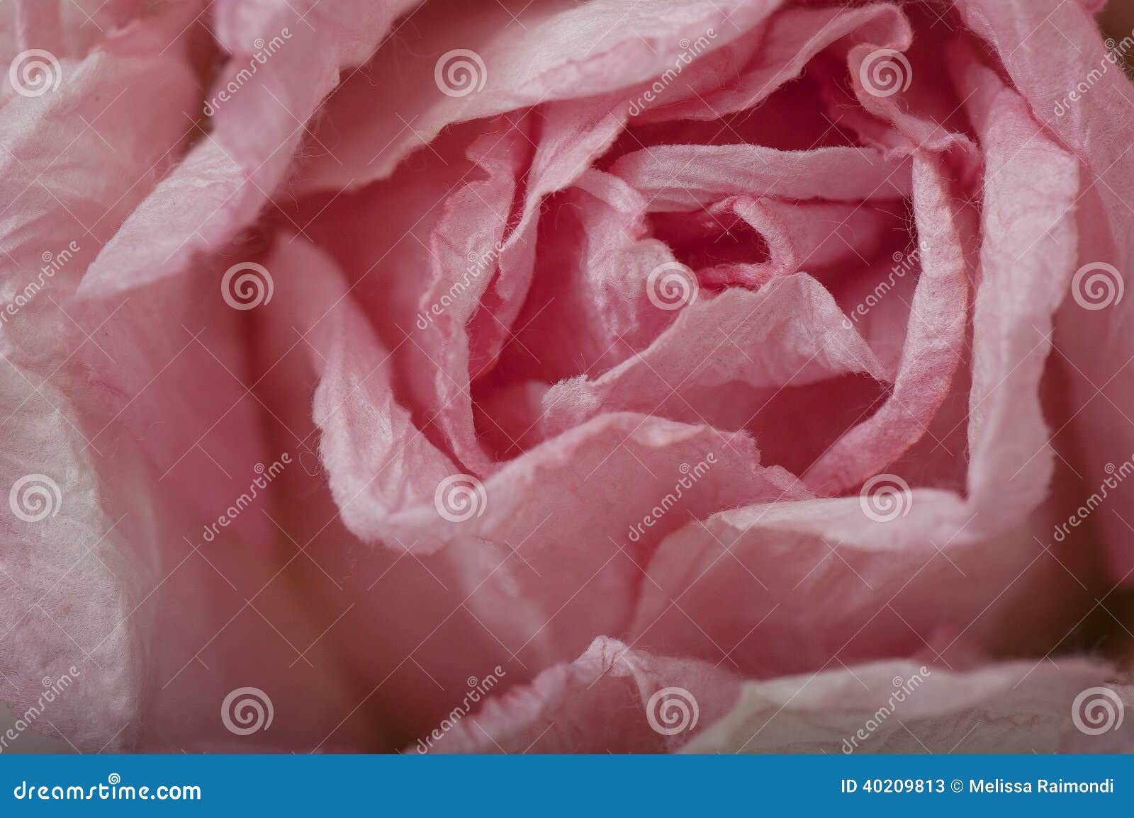 Pink Paper Rose stock image. Image of peach, petal, craft - 40209813