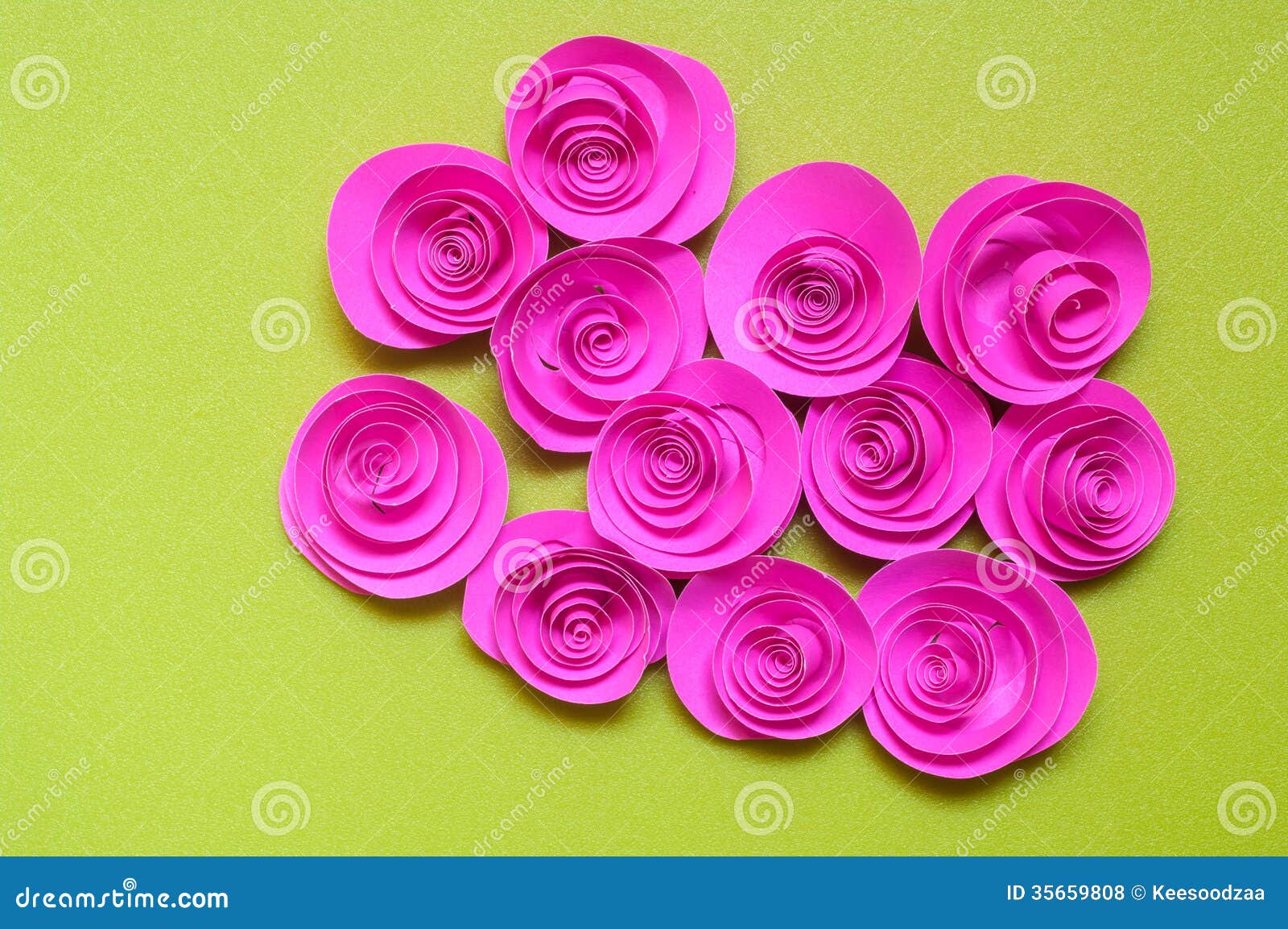 Pink paper rose isolated stock photo. Image of flower - 35659808