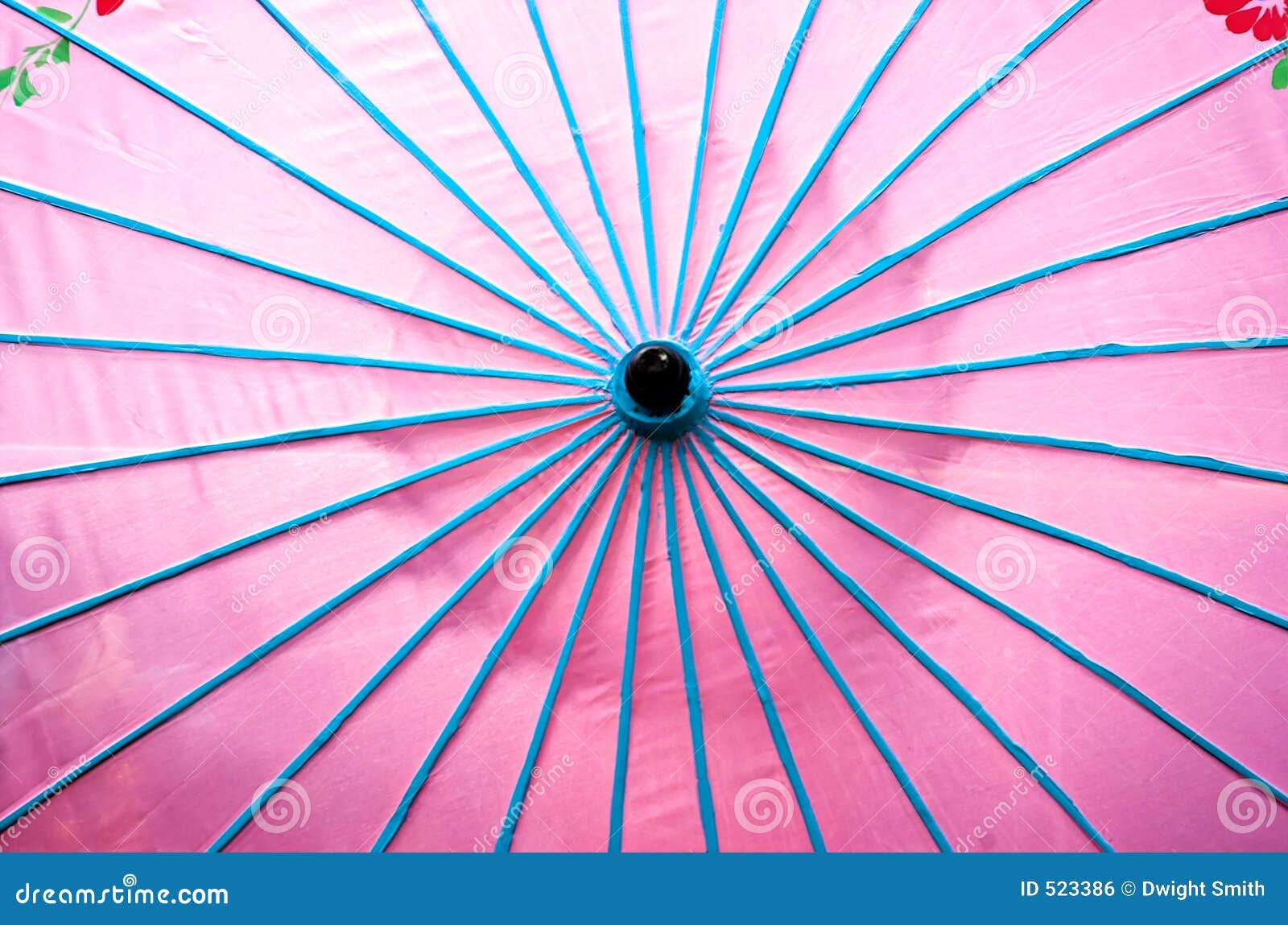Pink Parasol Picture. Image: 523386