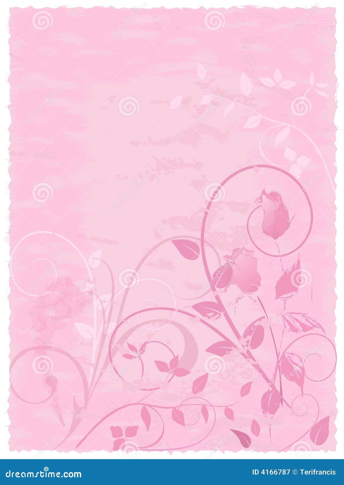 Pink Parchment Rose Design stock vector. Image of background - 4166787