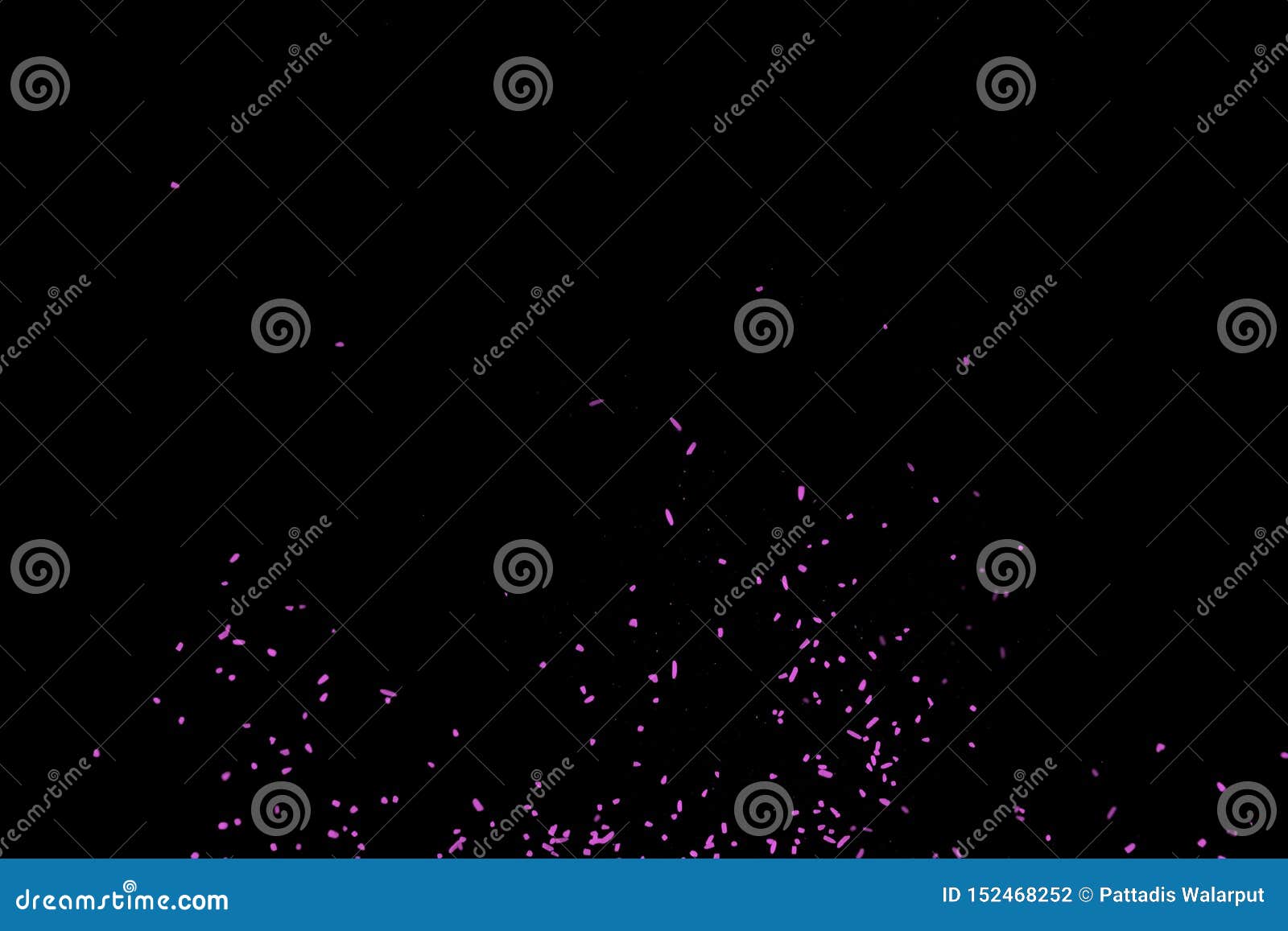 Pink Particles Splatter on Black Background Stock Photo - Image of ...