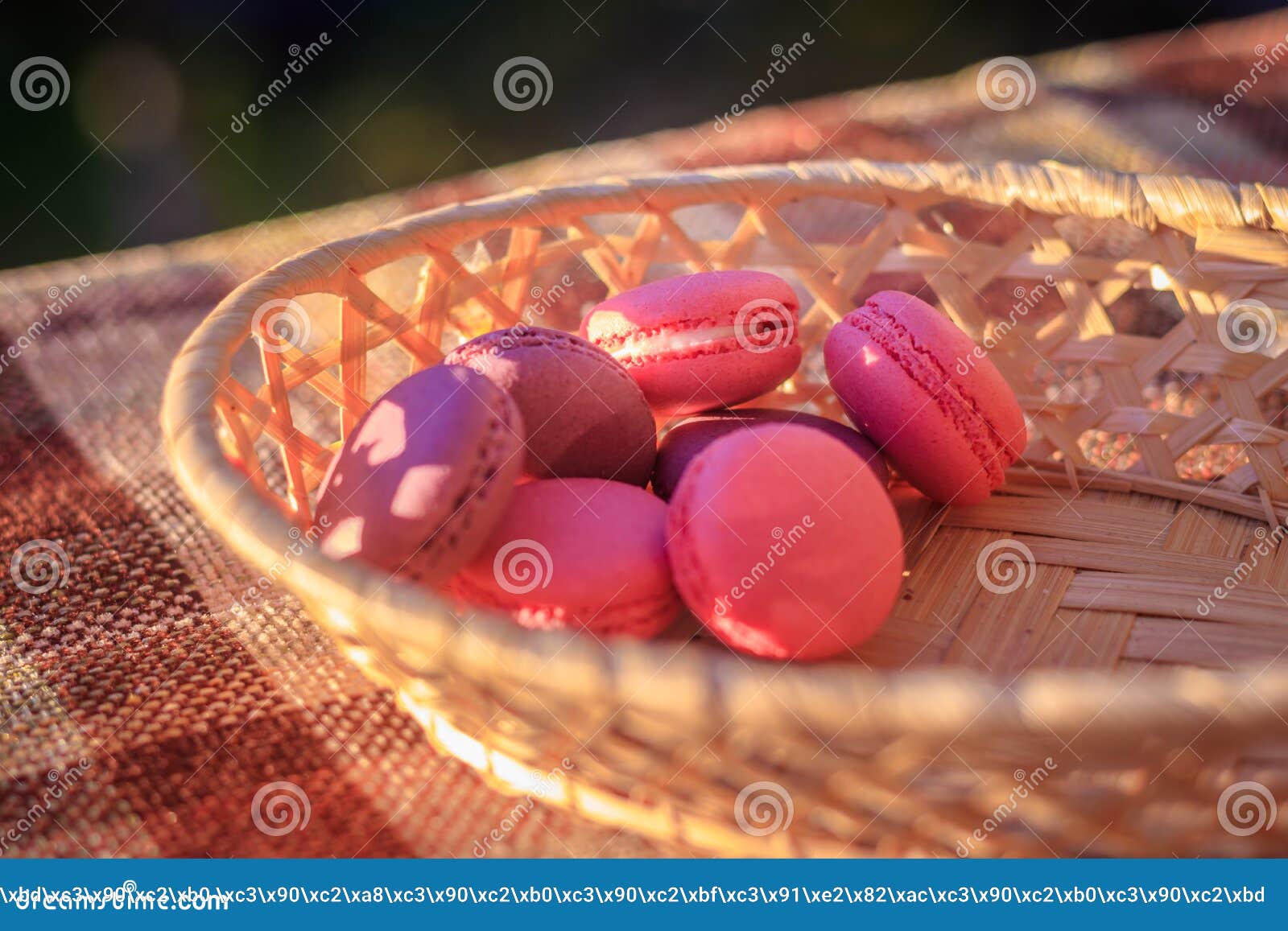 Pink Pasta Macarons at Sunset. Pink Macaroni Stock Photo - Image of ...