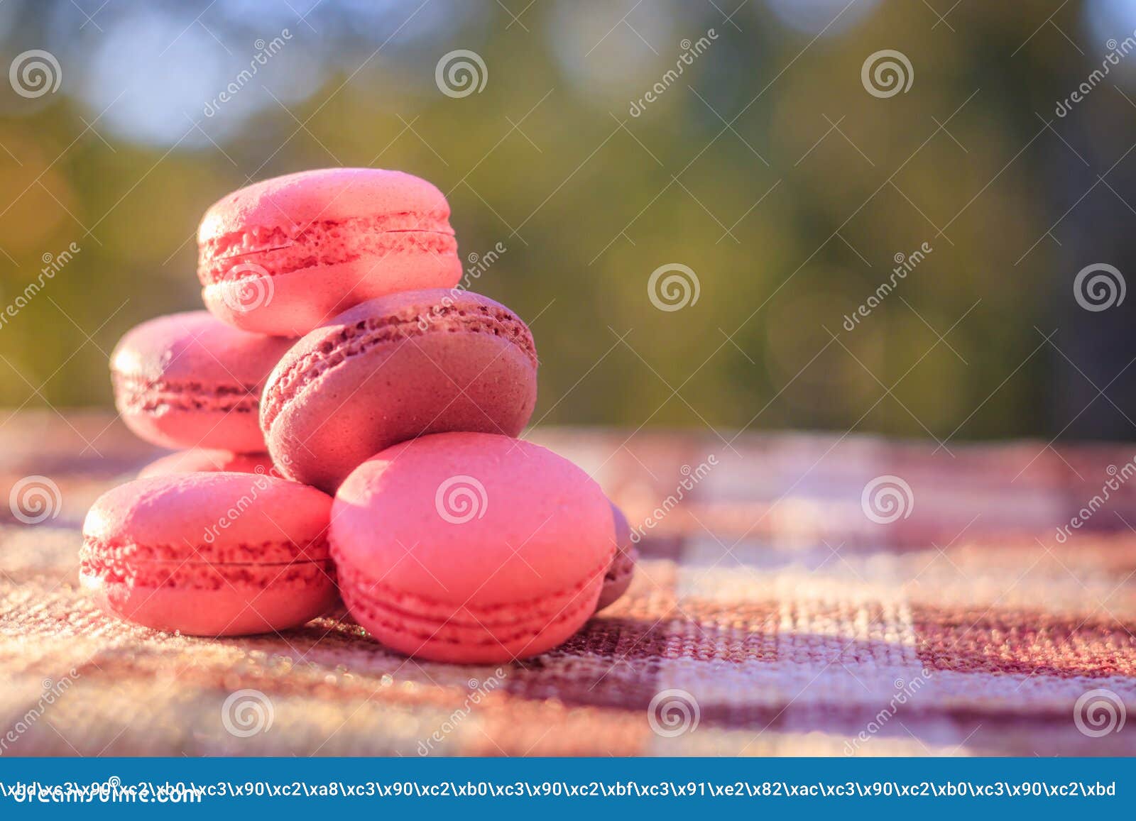Pink Pasta Macarons at Sunset. Pink Macaroni Stock Photo - Image of ...