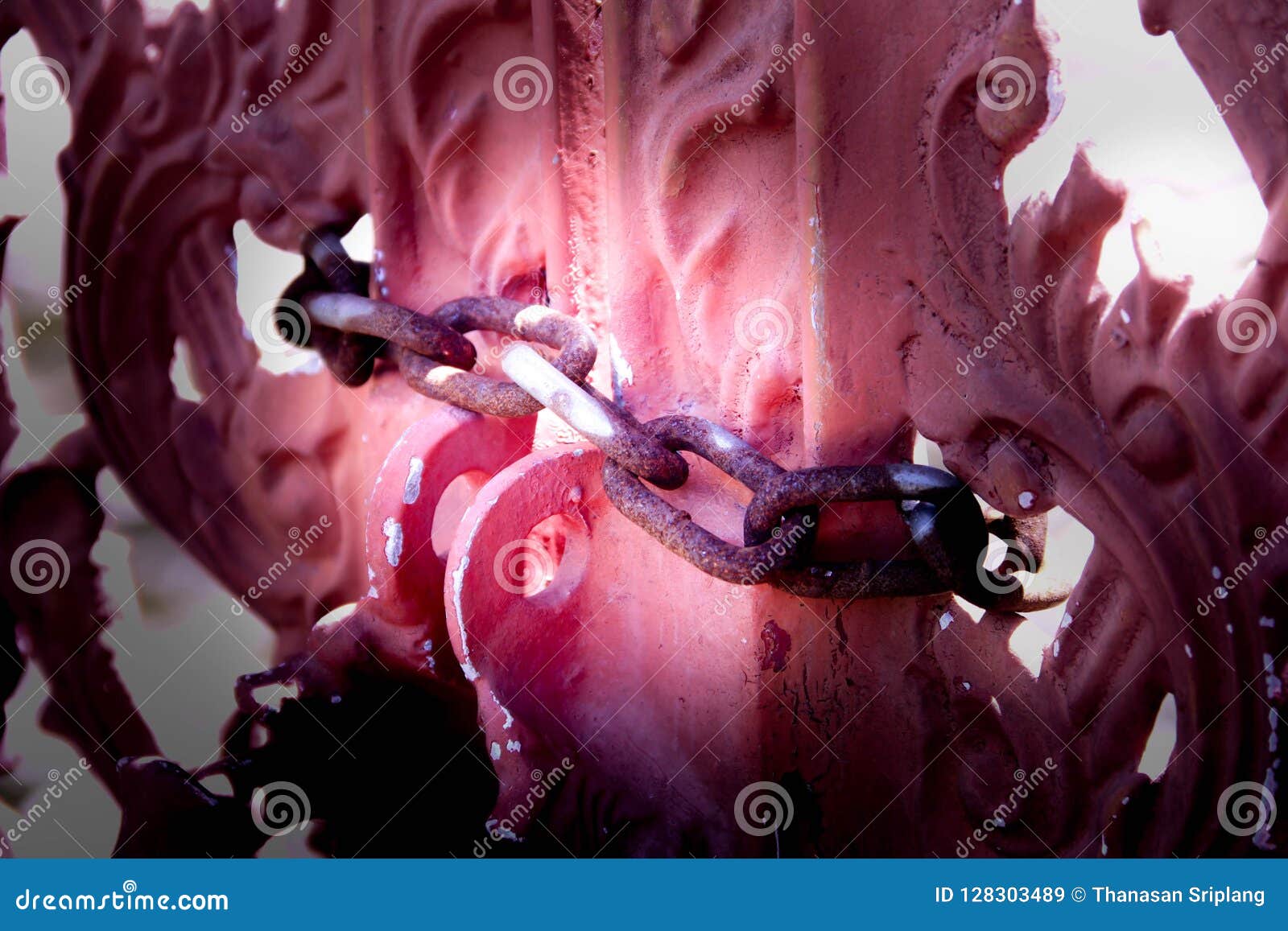 The Pink Patterned Doors Bound with Chains Attached with Rusty Brown ...