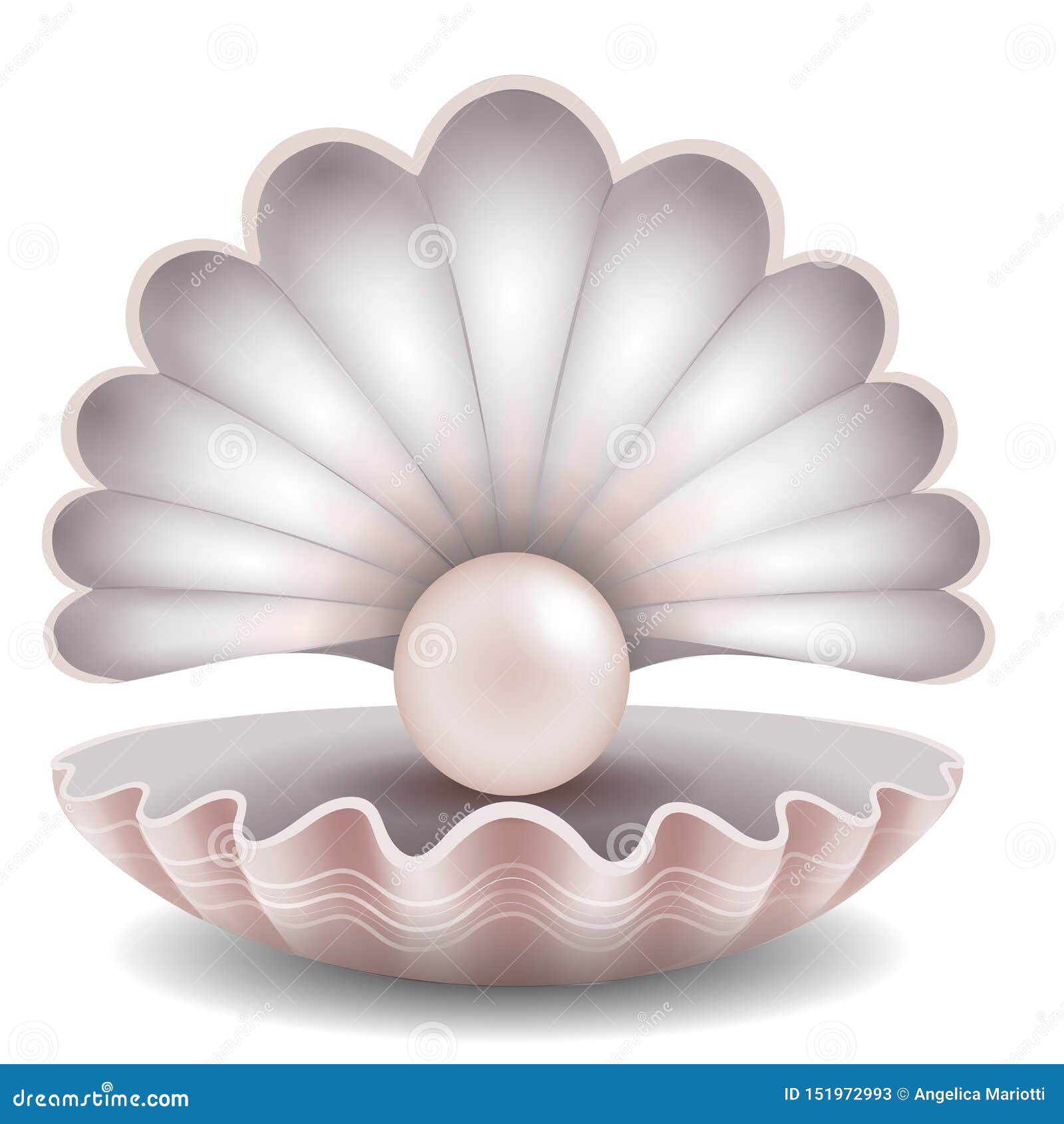 Pink pearl in the seashell stock vector. Illustration of round - 151972993