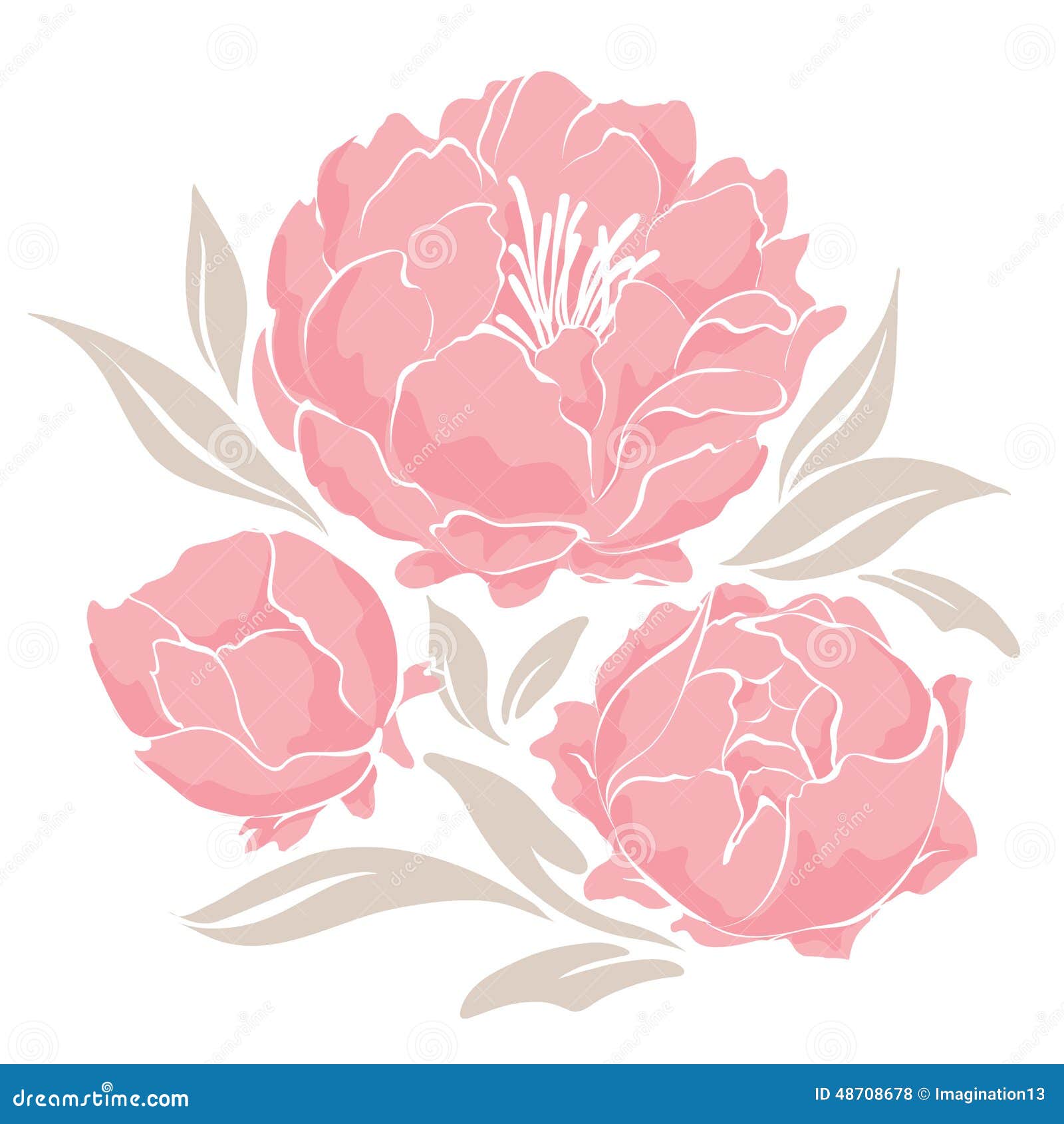 Pink Peonies. Delicate Summer Flowers, Watercolor Illustrations. Set Of ...