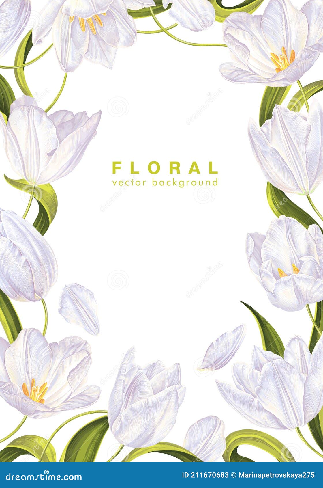 Vertical Background with a Floral Frame of White Realistic Tulips ...