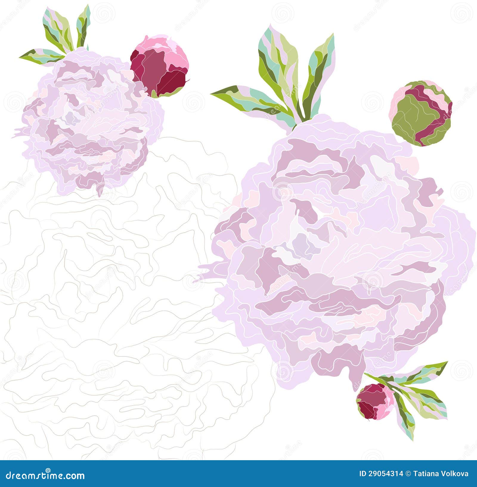 Pink peony stock vector. Illustration of vector, curves - 29054314