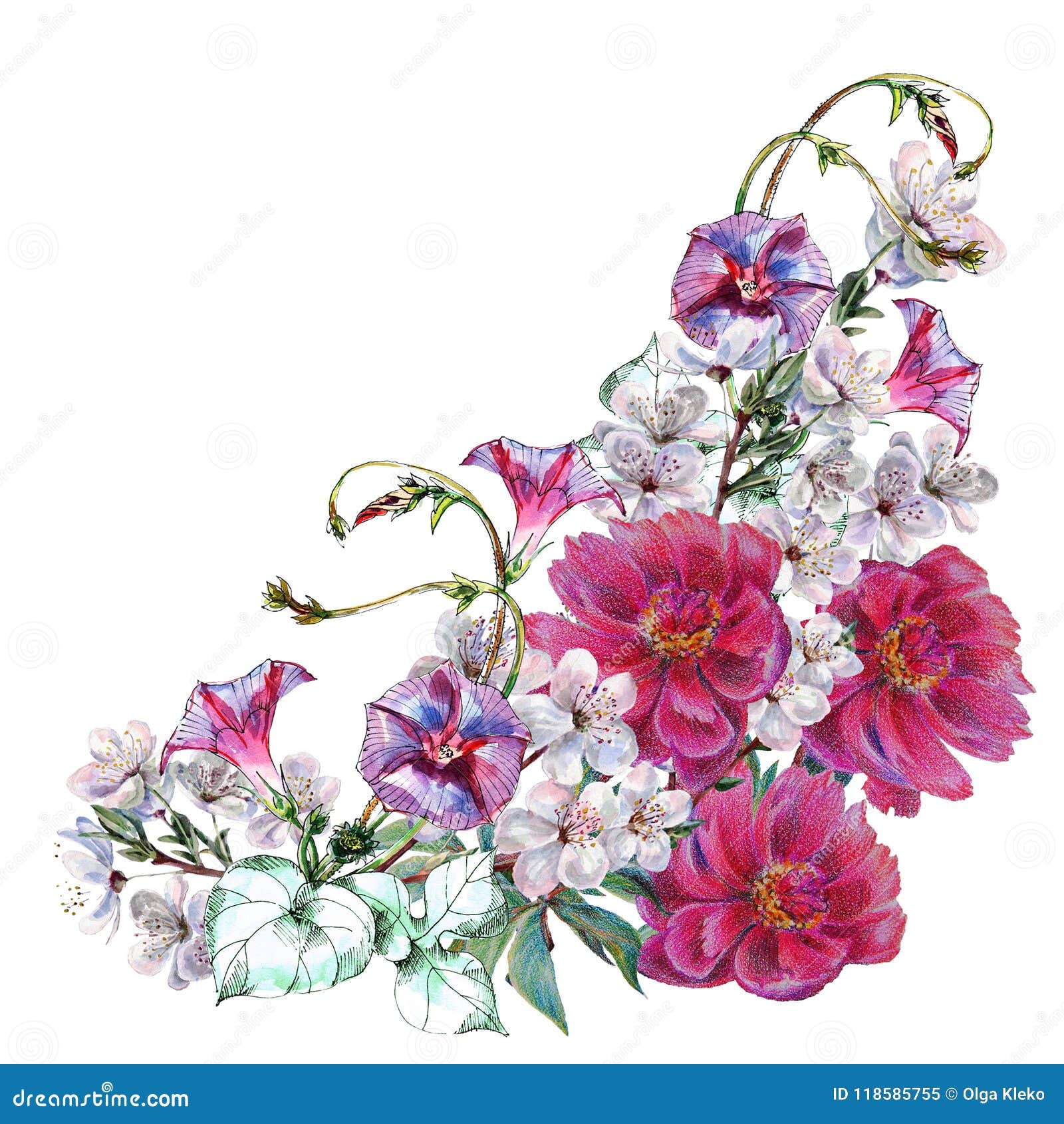 Pink Peony of Color Pencil with Flowers Cherry. Illustration Corner ...