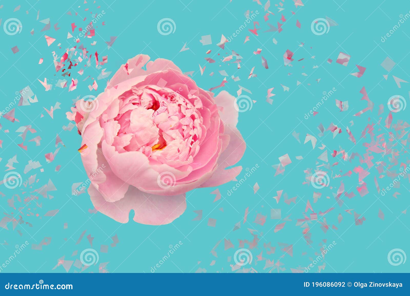 Flower - Exploding Royalty-Free Stock Image | CartoonDealer.com #61237012
