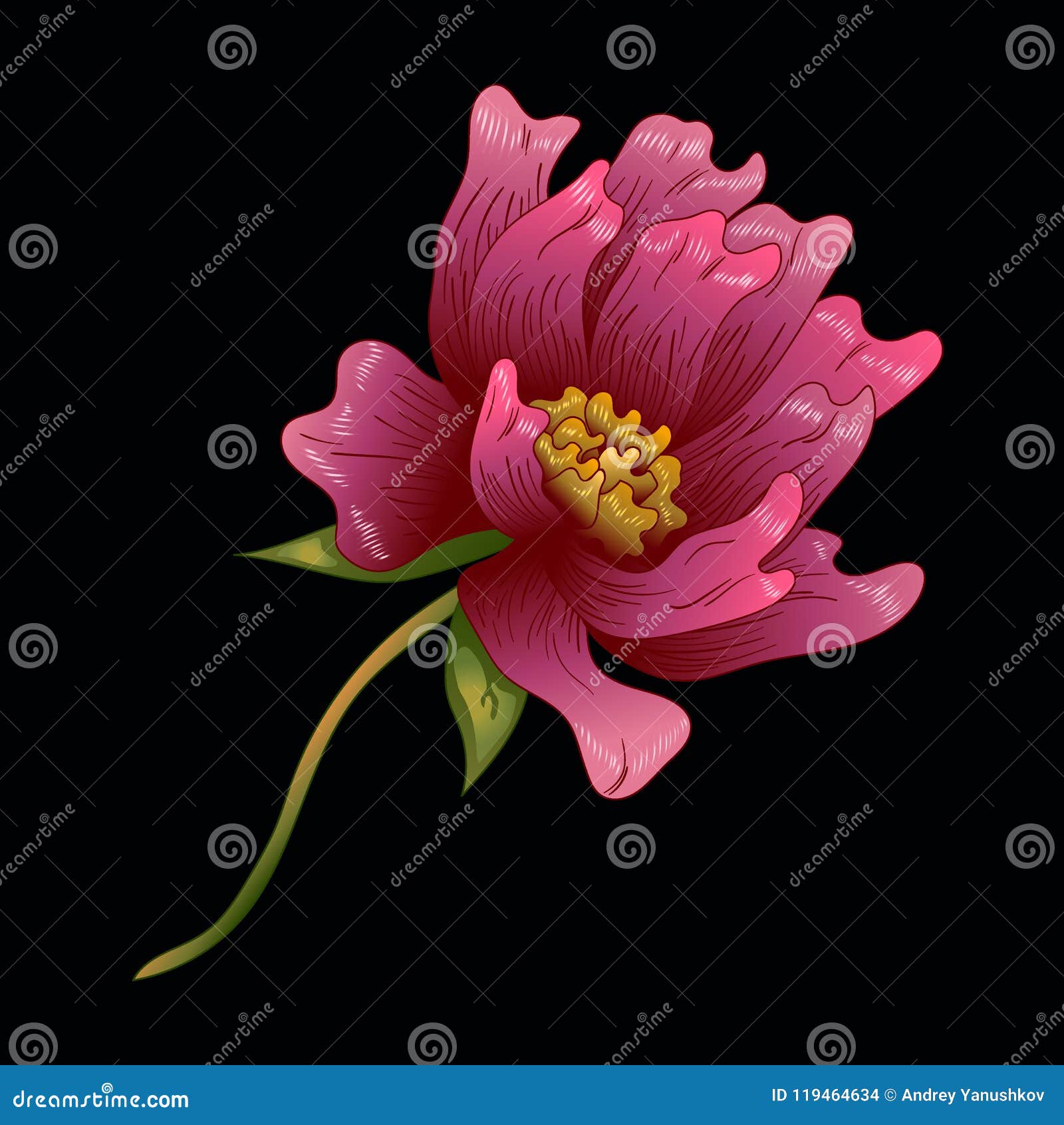 Pink Peony Flower in a Vector Style Isolated. Stock Vector ...