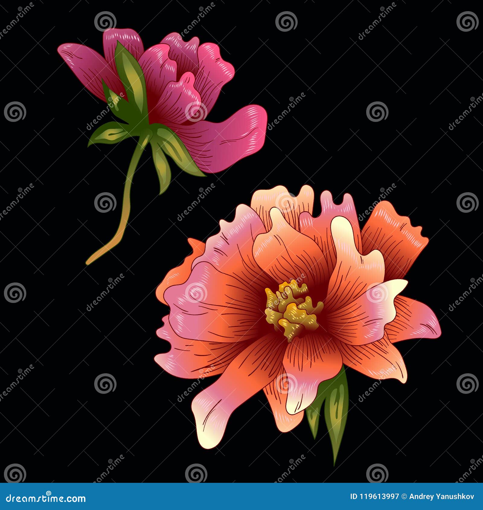 Pink Peony Flower in a Vector Style Isolated. Stock Vector ...