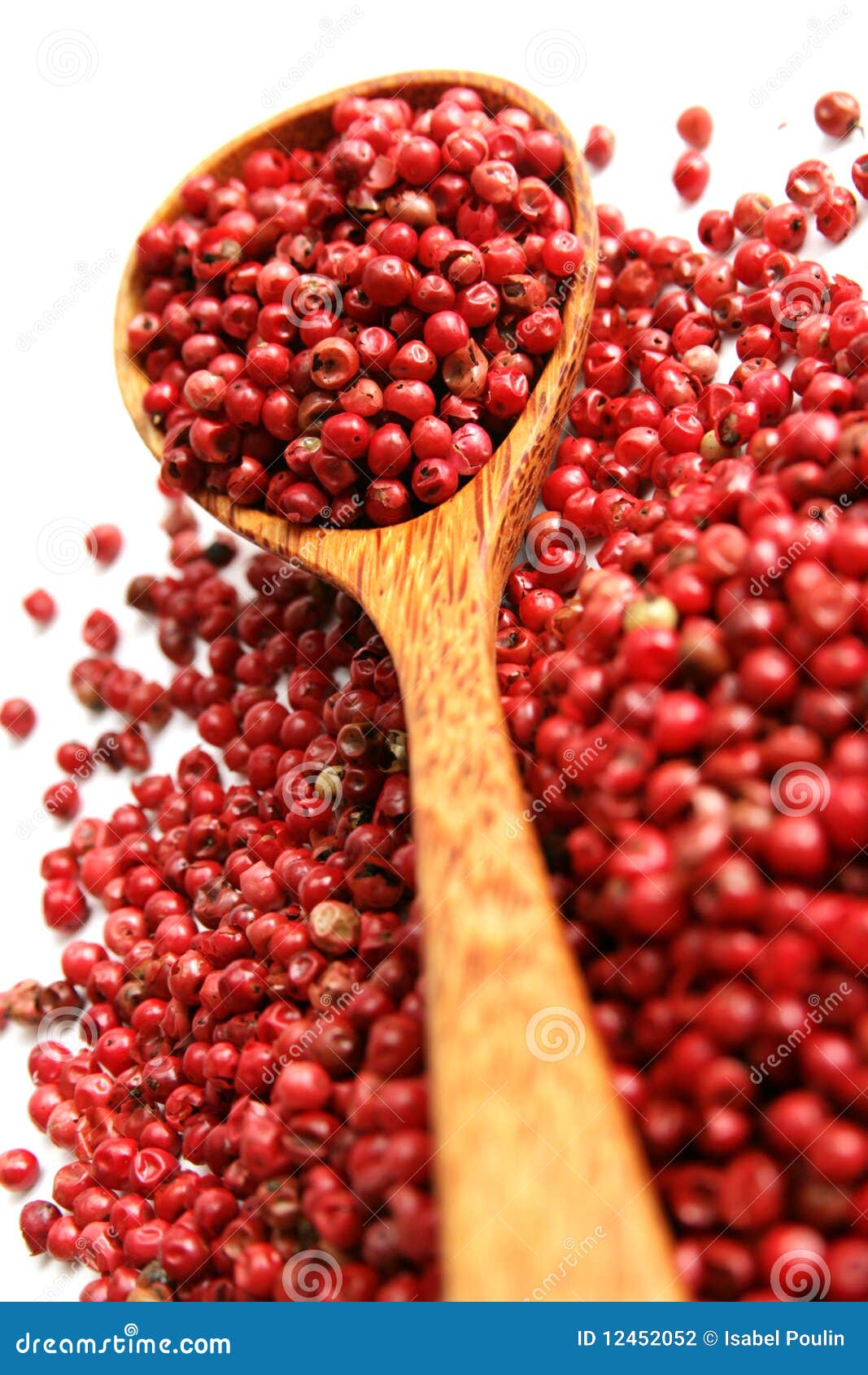 Pink Pepper, Schinus Terebinthifolius Stock Image | CartoonDealer.com ...