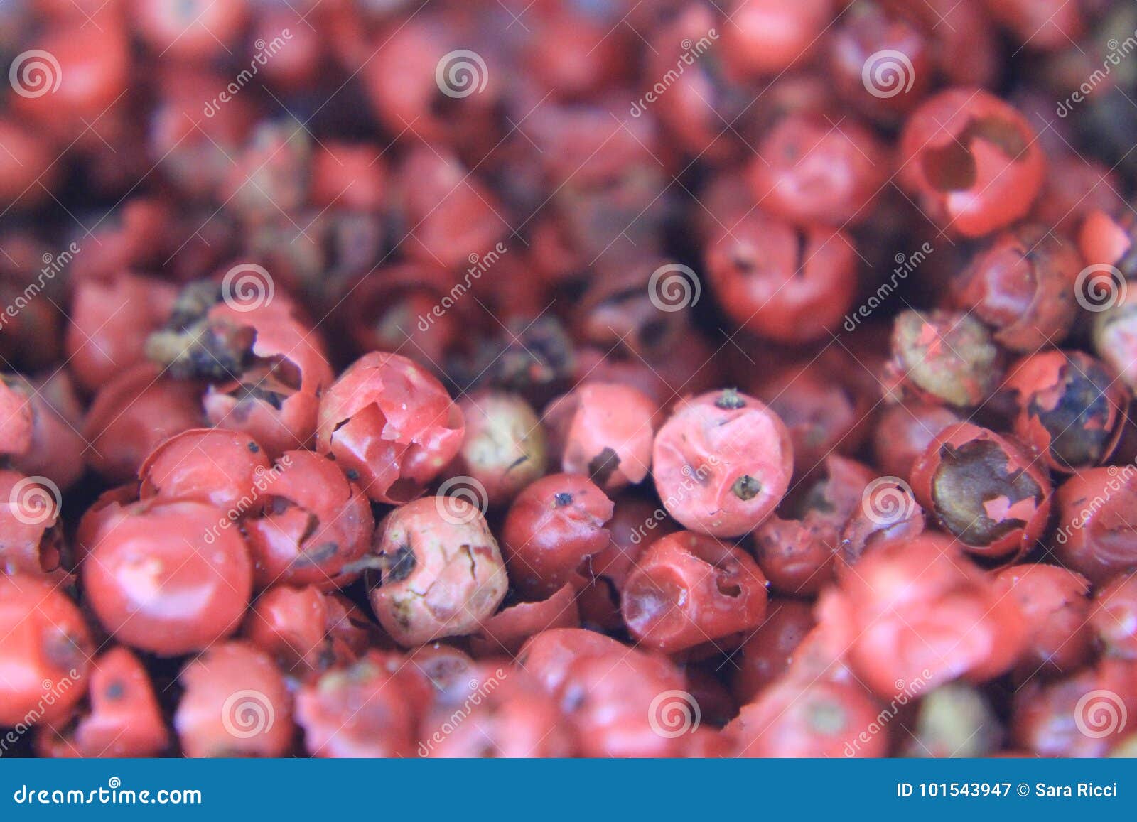 Pink pepper stock image. Image of produce, spice, pepper - 101543947