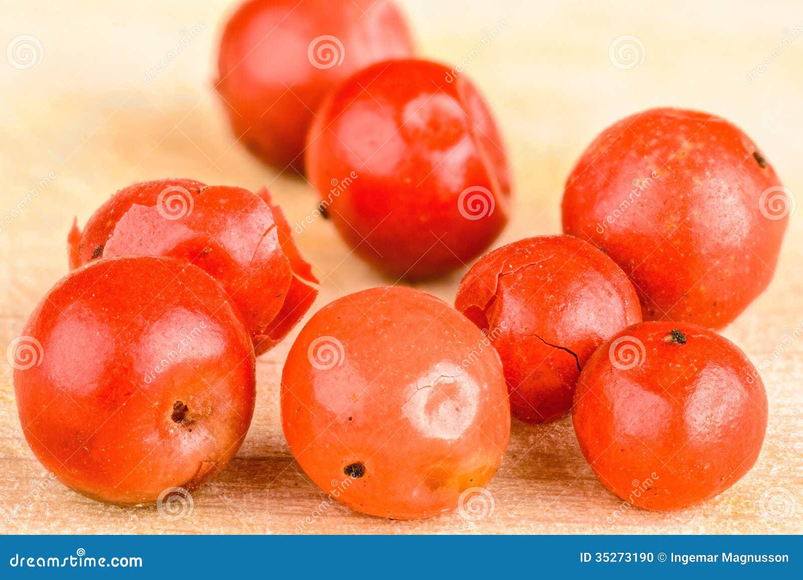 Pink pepper stock photo. Image of flavour, molle, corn - 35273190