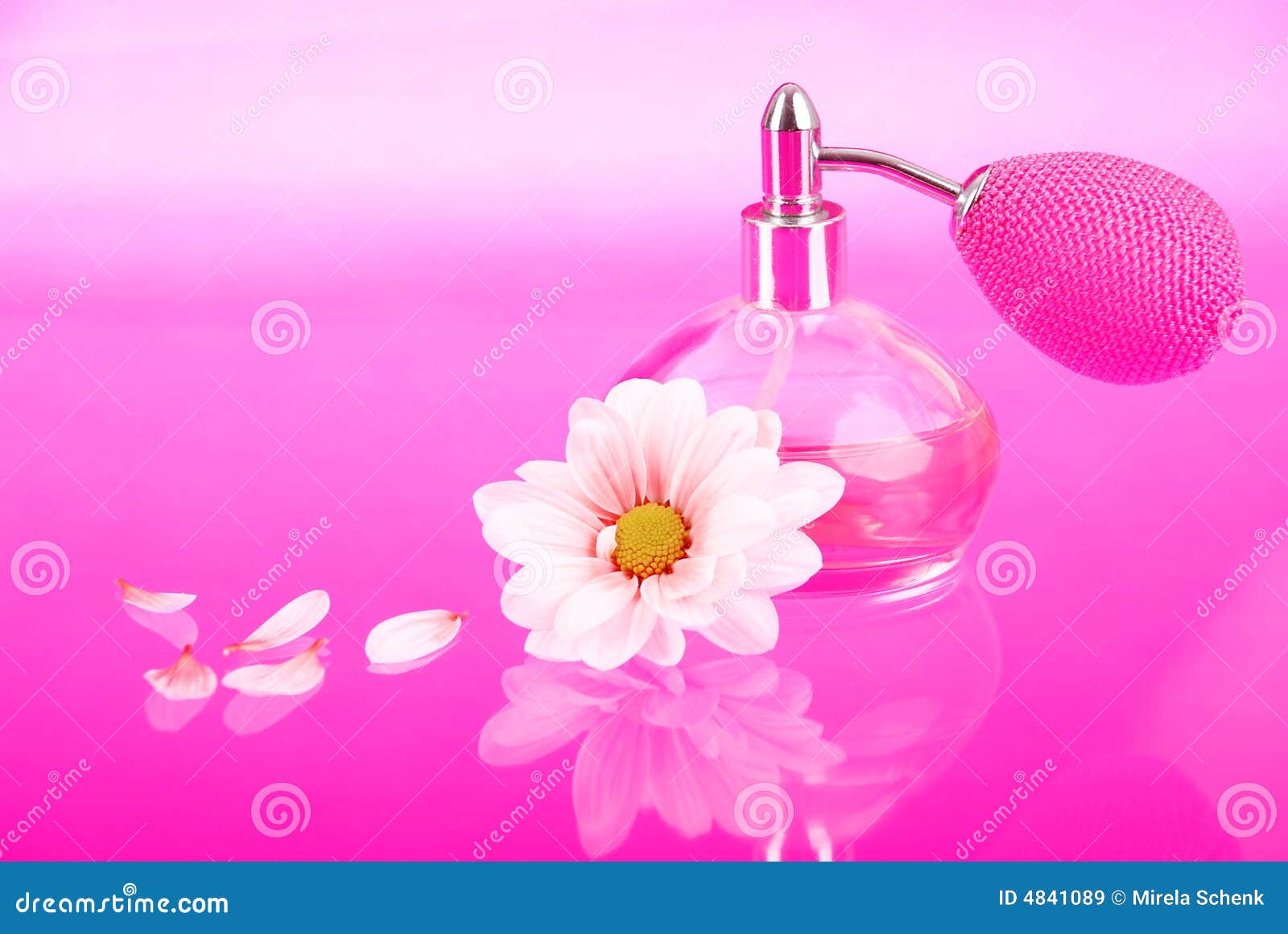 Pink perfume stock image. Image of flower, sprayer, pensive - 4841089