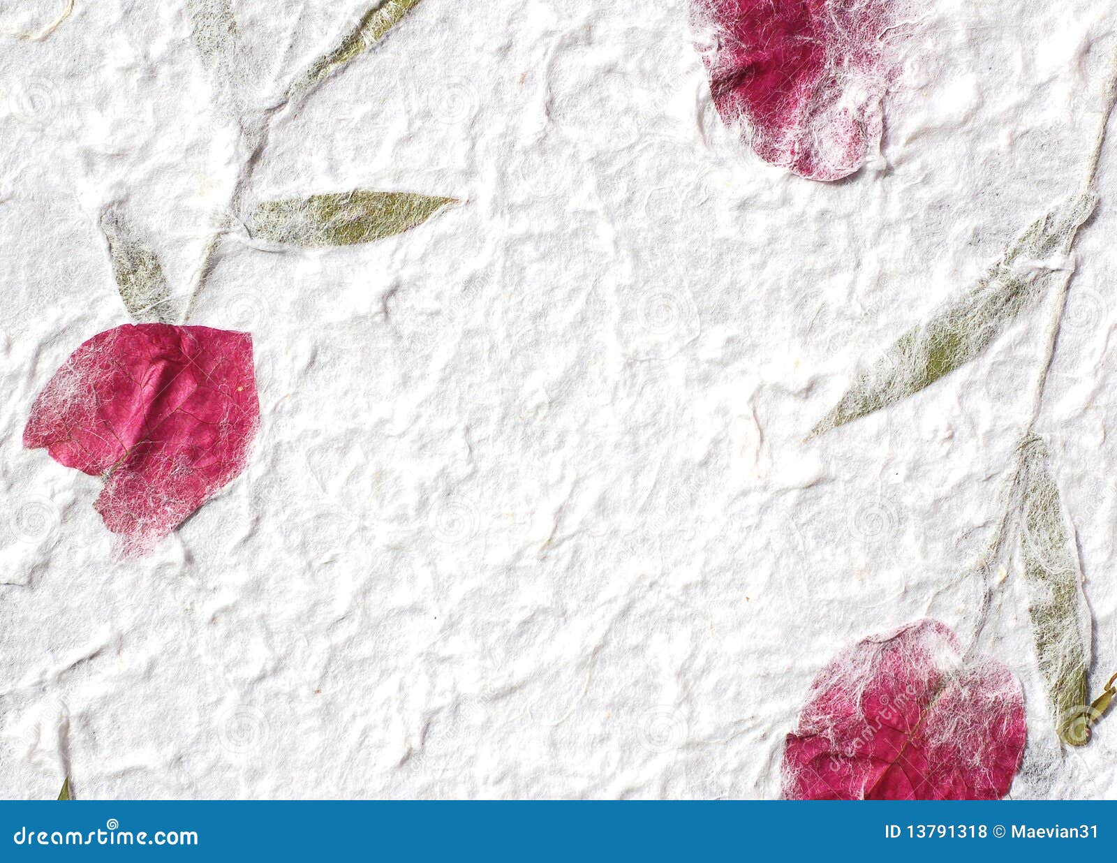 Pink petal paper stock photo. Image of dreamy, thick - 13791318