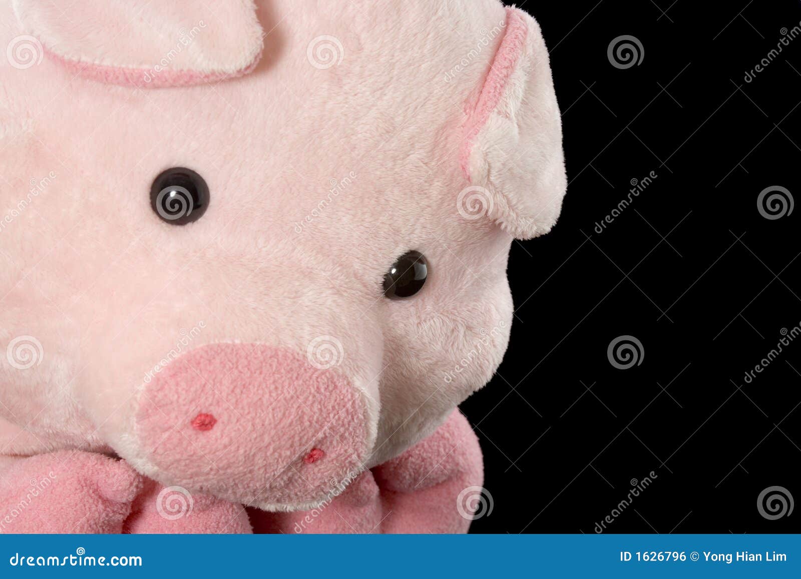 Pink piggy stock photo. Image of stuffed, isolated, piggy - 1626796