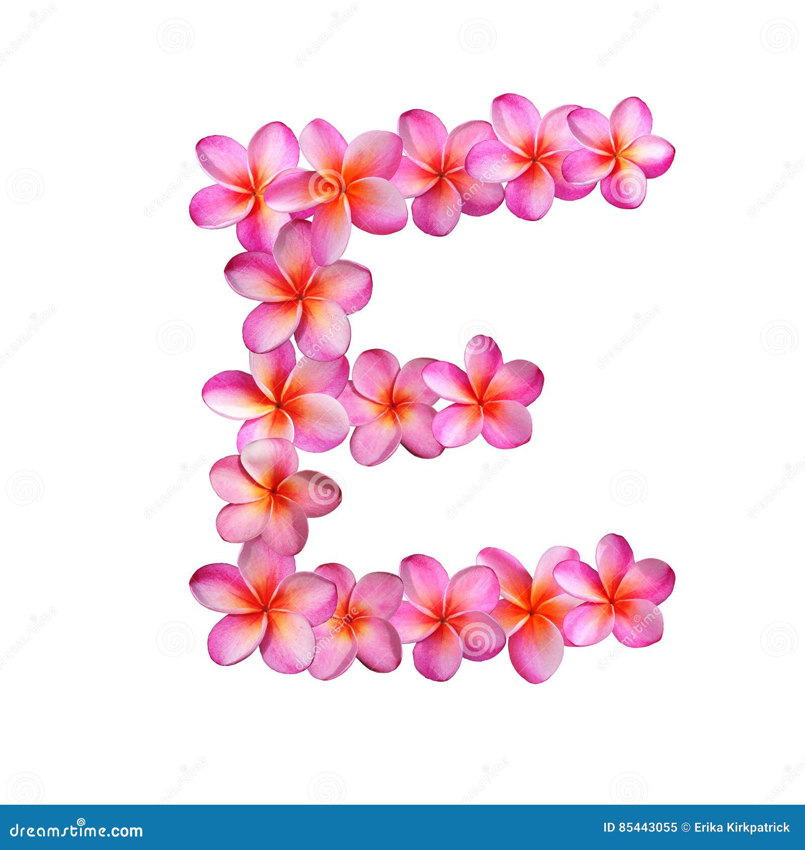 Pink Plumeria Flowers Letter E Stock Illustration - Illustration of ...