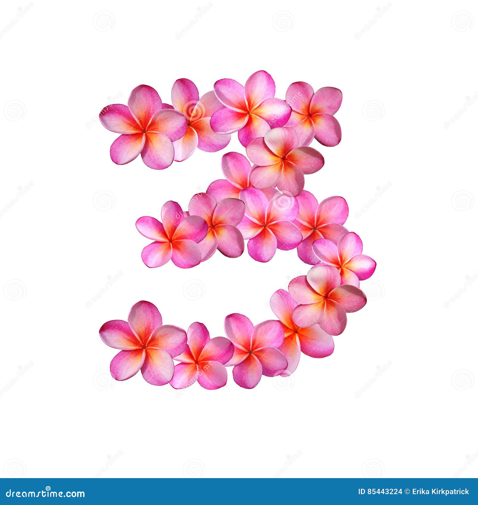 Pink Plumeria Flowers Number Three Stock Illustration - Illustration of ...