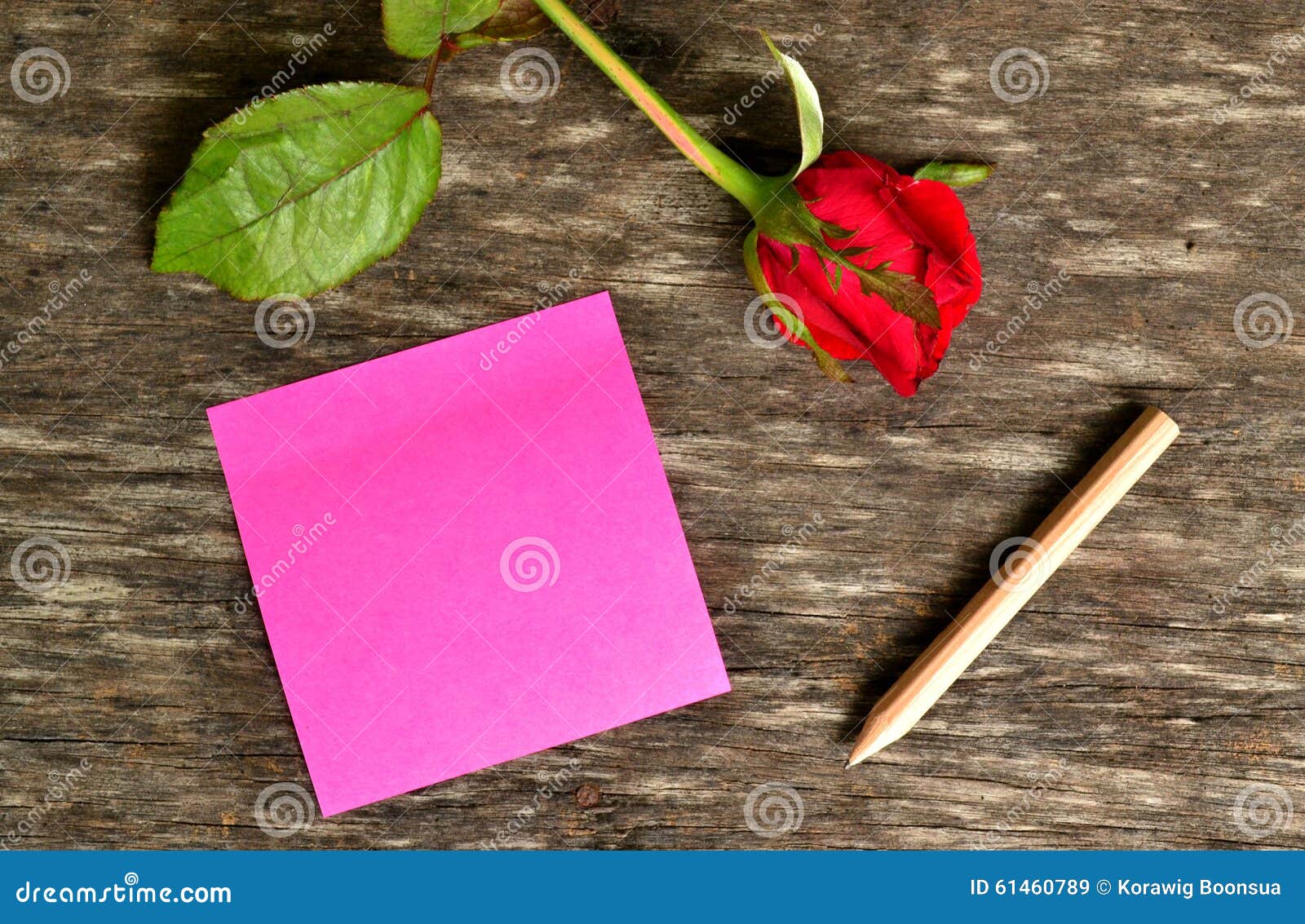 Pink Post it Note and Red Rose Stock Image - Image of message, nature ...