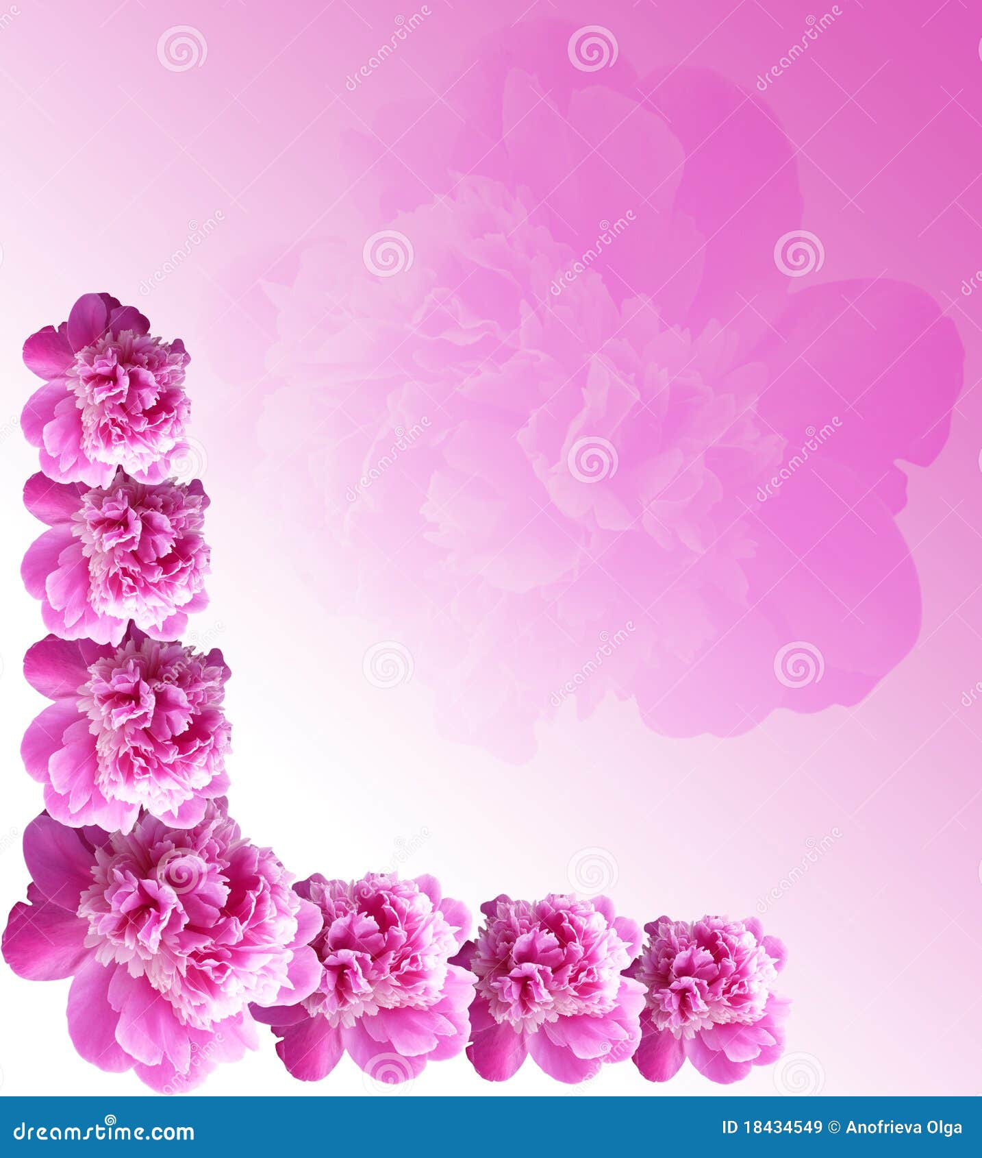 Pink postcard stock image. Image of fragrant, card, postcard - 18434549