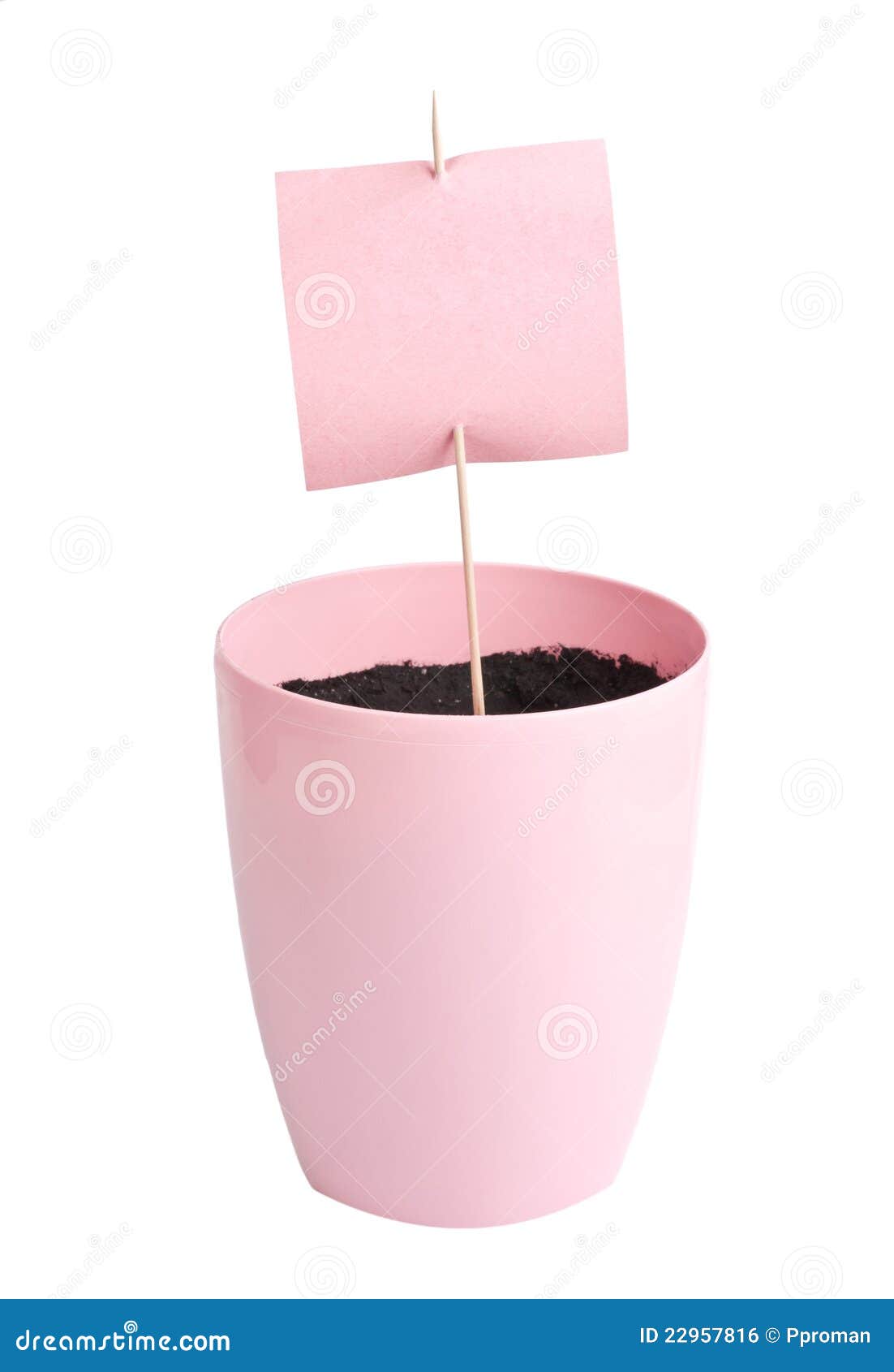 Pink pot stock photo. Image of ceramic, holders, flora - 22957816