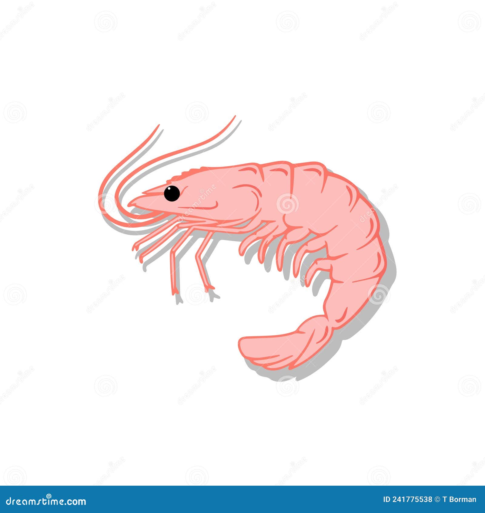 Pink Prawn Pattern. Hand Drawn Vector Pattern Design. Seafood Concept ...