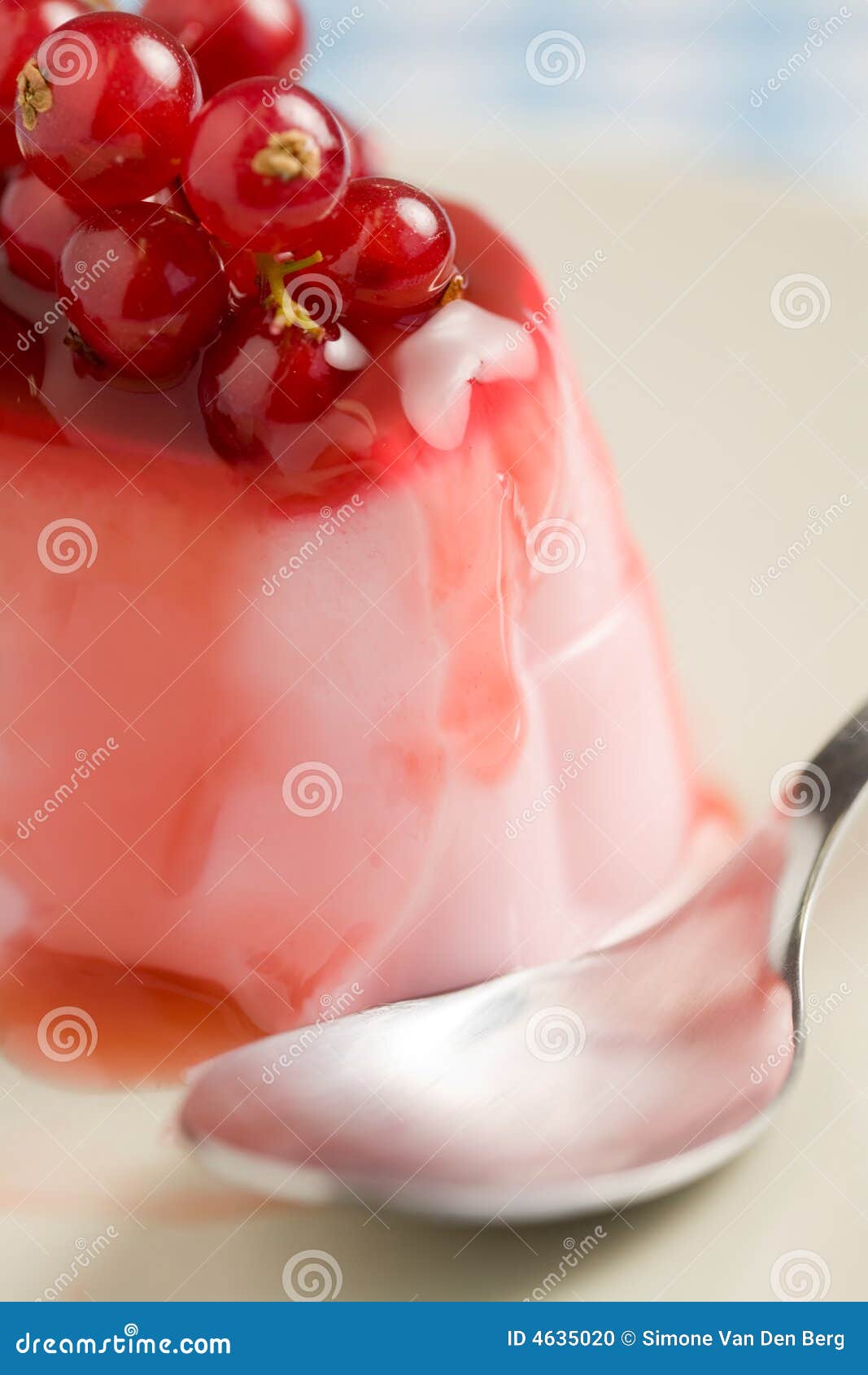 Pink pudding stock photo. Image of panna, fruit, berry - 4635020