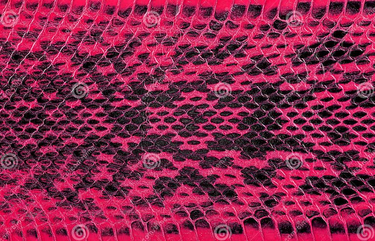 Pink Python Leather, Skin Texture for Background. Stock Image - Image ...