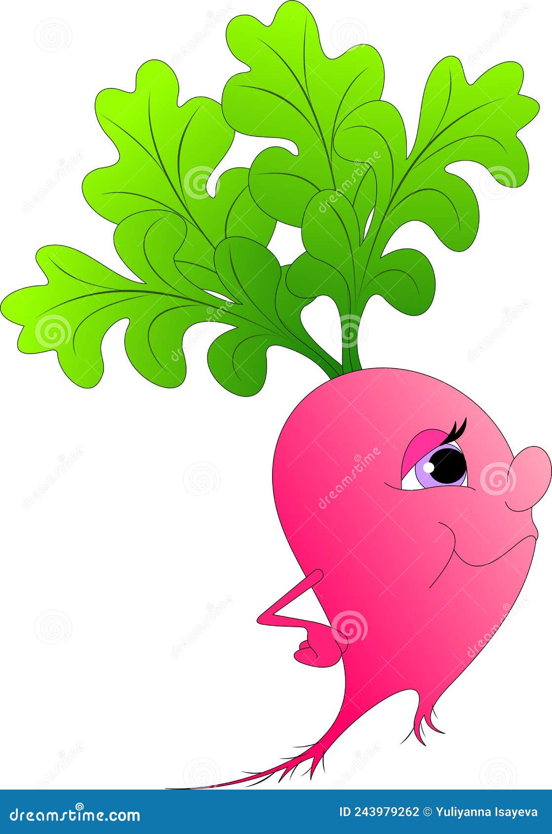 Pink Radish with Green Leaves Stock Vector - Illustration of color ...