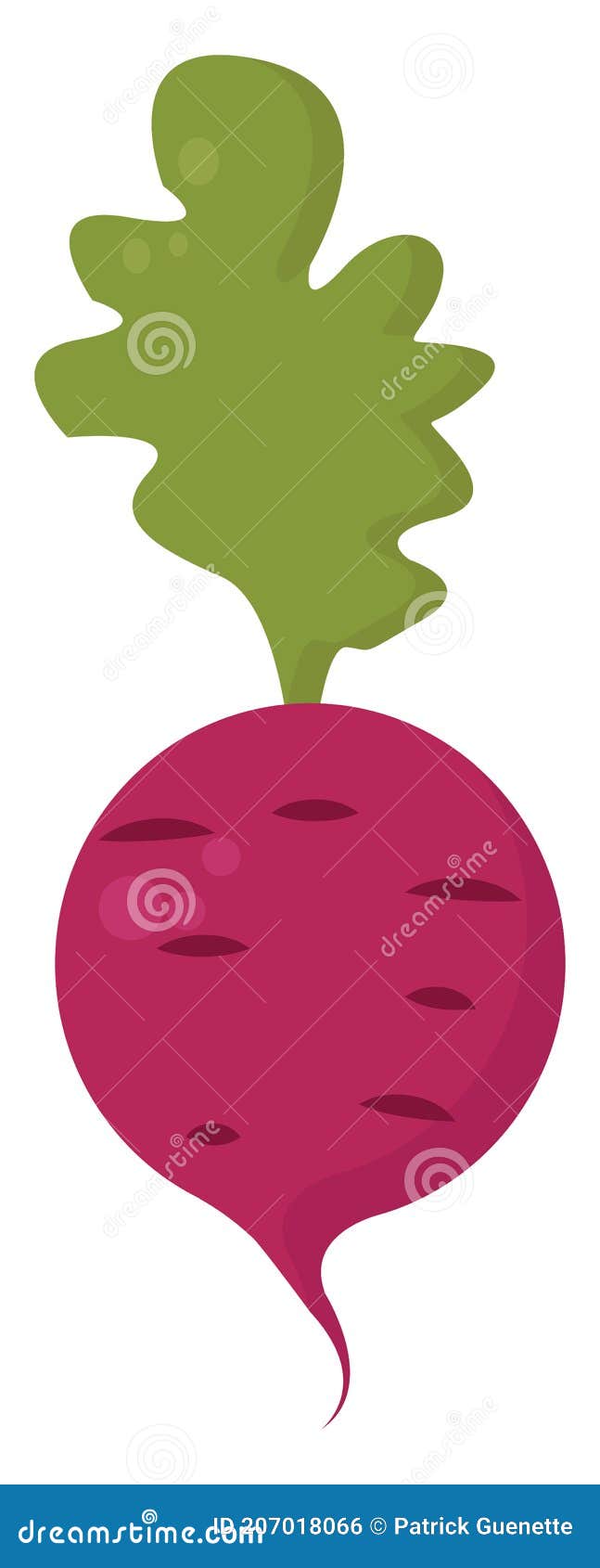Pink Radish, Illustration, Vector Stock Vector - Illustration of plant ...