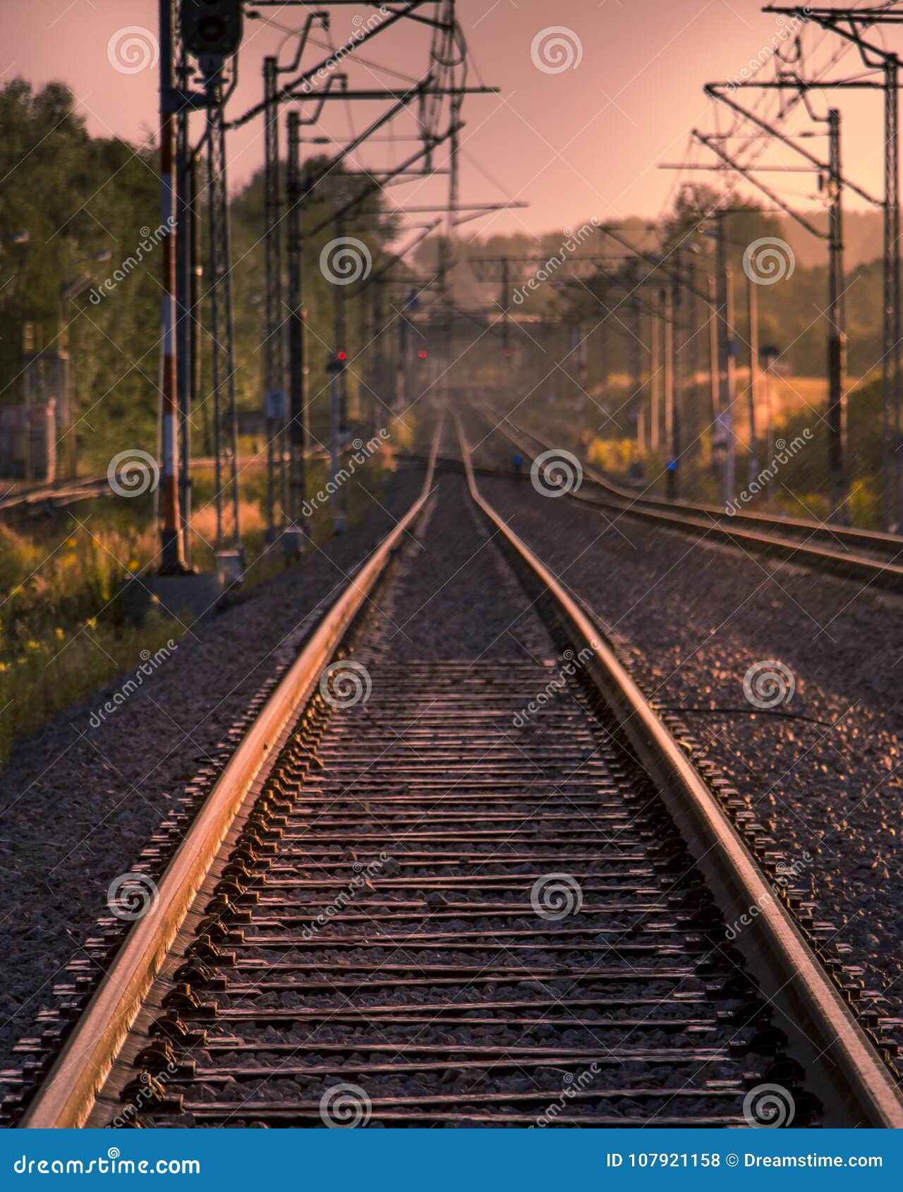 Pink Rails stock photo. Image of colours, sunset, lake - 107921158