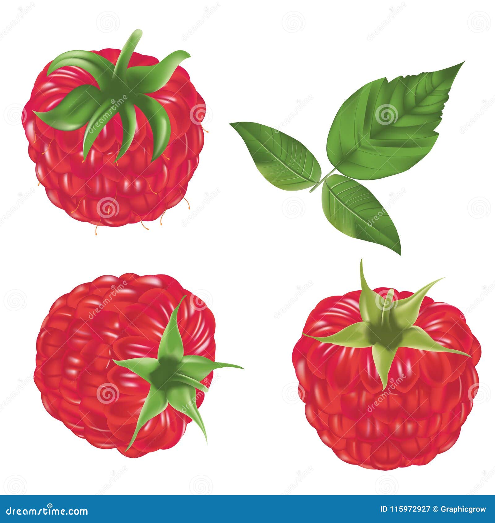 Pink Raspberry with leaf stock vector. Illustration of editable - 115972927