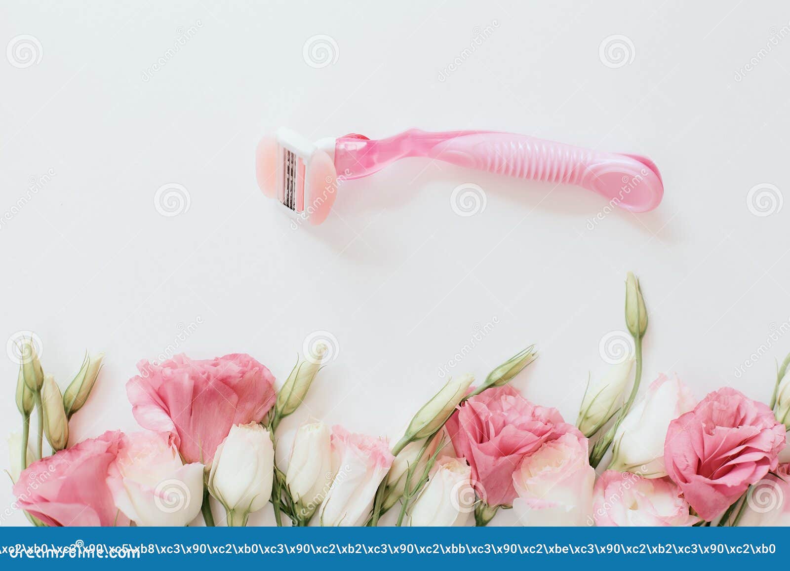 Pink Razor Close-up with Plants on a Light Gray Background. Rosebuds ...