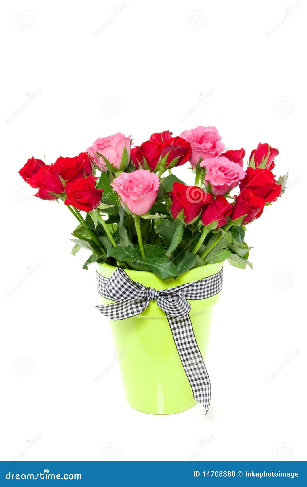 A Pink Red Bouquet of Roses Stock Photo - Image of love, bunch: 14708380