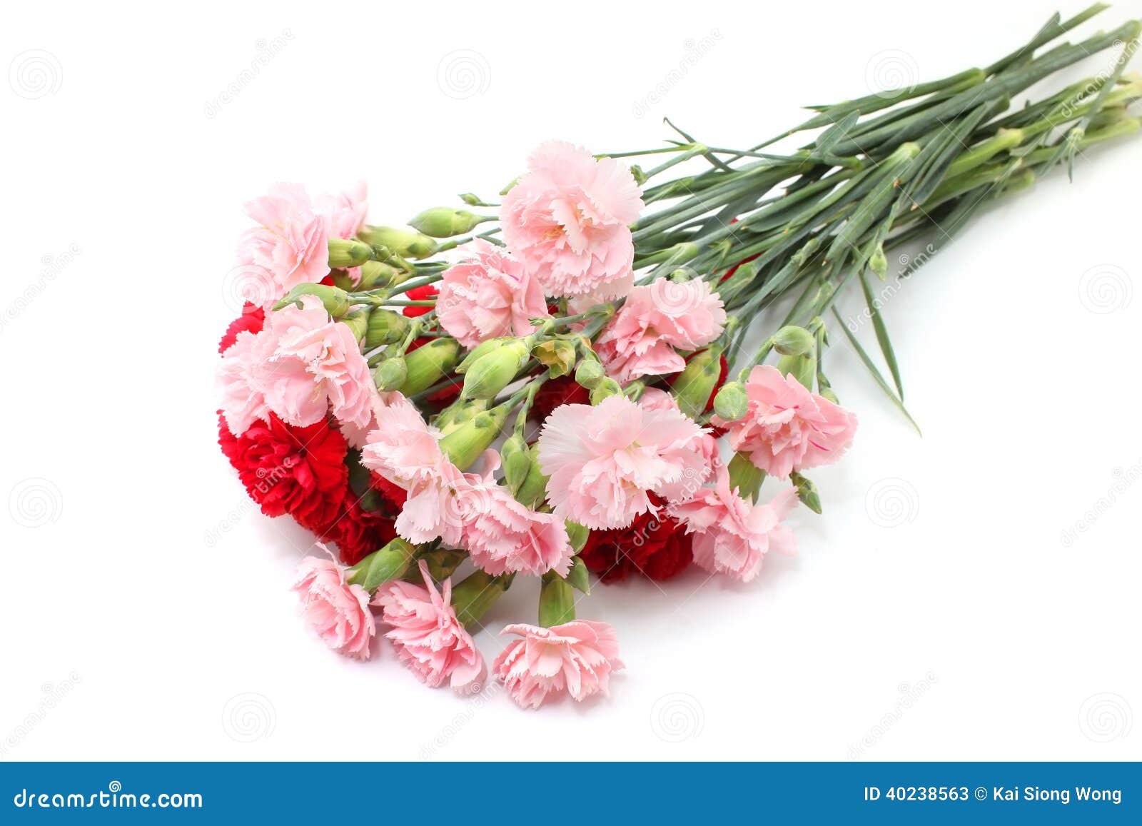 Pink and red carnation stock image. Image of bouquet - 40238563